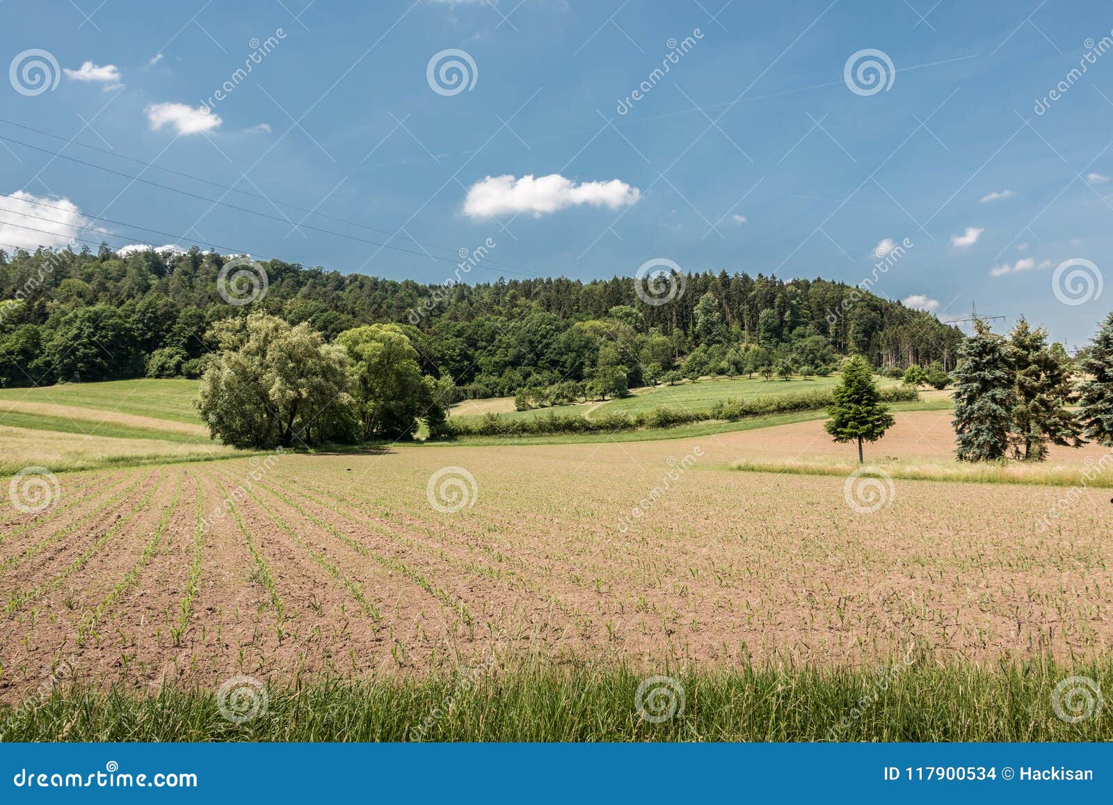 German Countryside with Forests, Fields and Meadows Stock Photo - Image ...