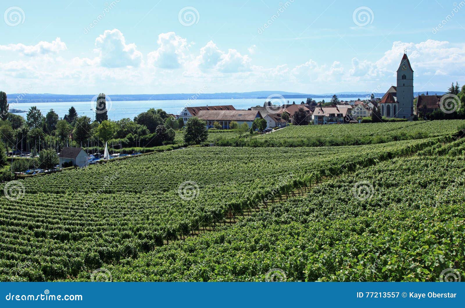 German Countryside Landscape: Series Of Trees With Hills As Background ...