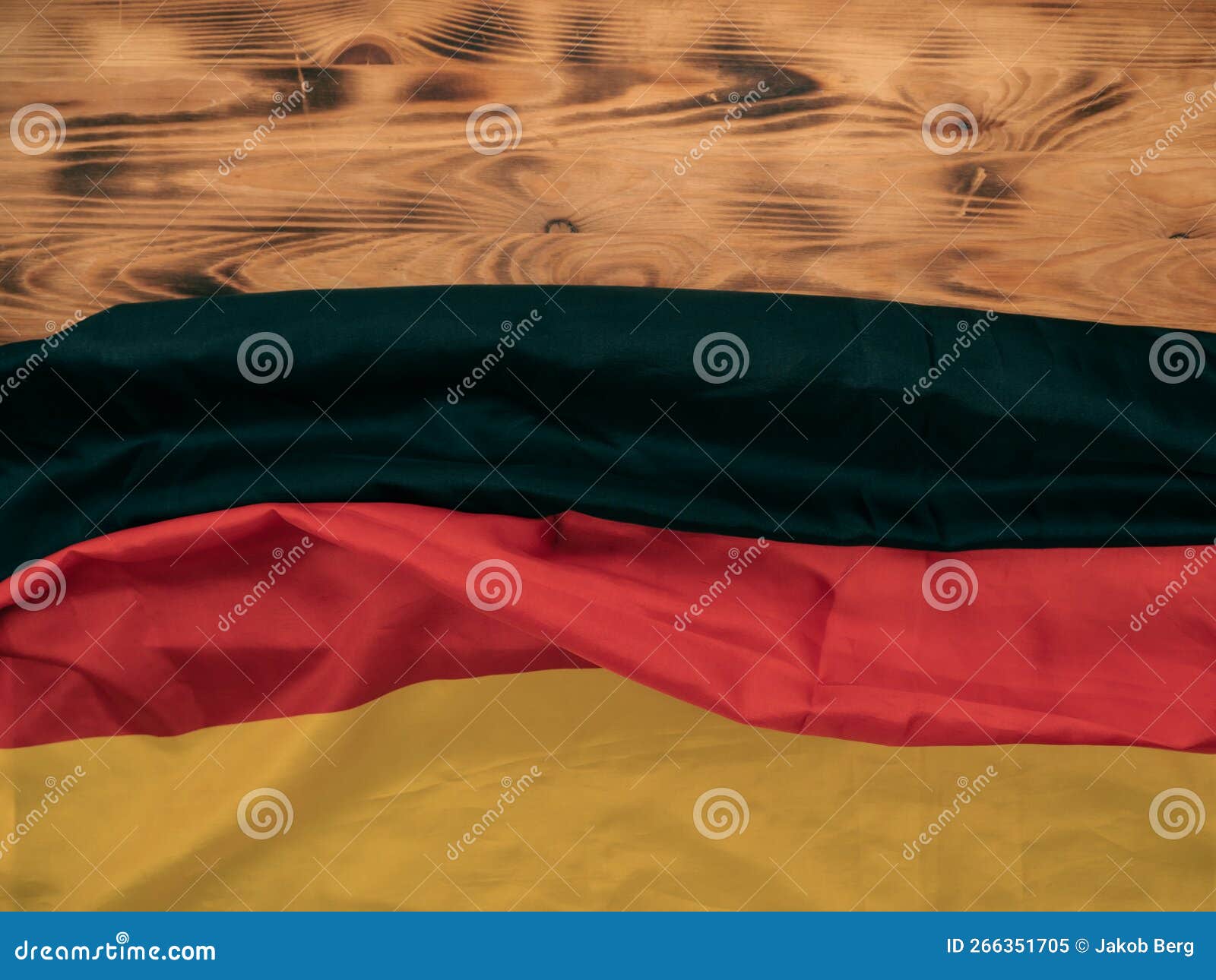 German Flag on a Tree. Concept Made in Germany Stock Image - Image of ...