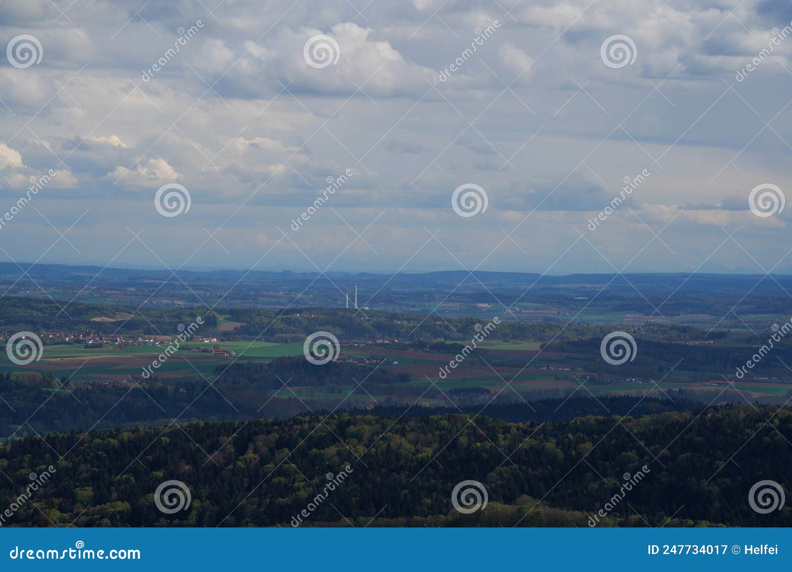 German Forest Photographed in Spring Stock Image - Image of green ...