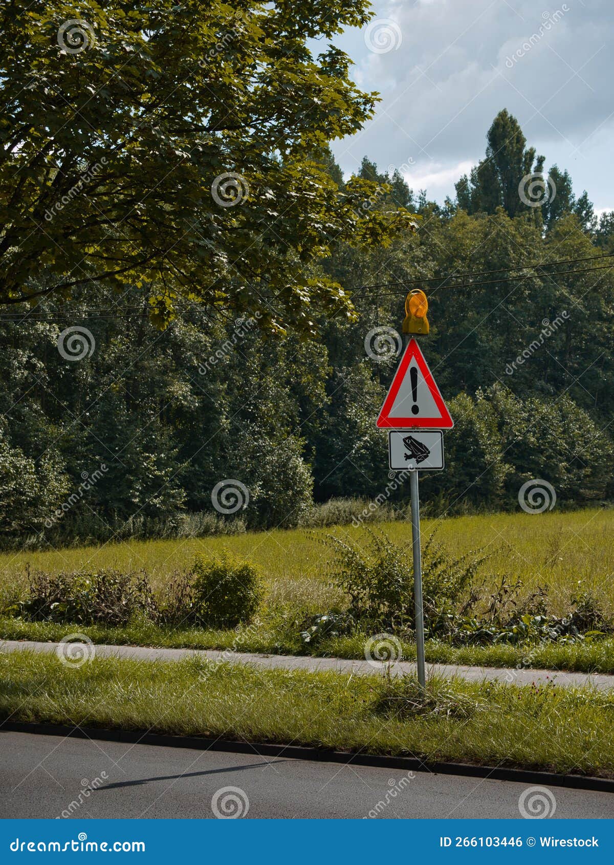 German Frog Warning Sign on a Road in Nature Stock Photo - Image of ...