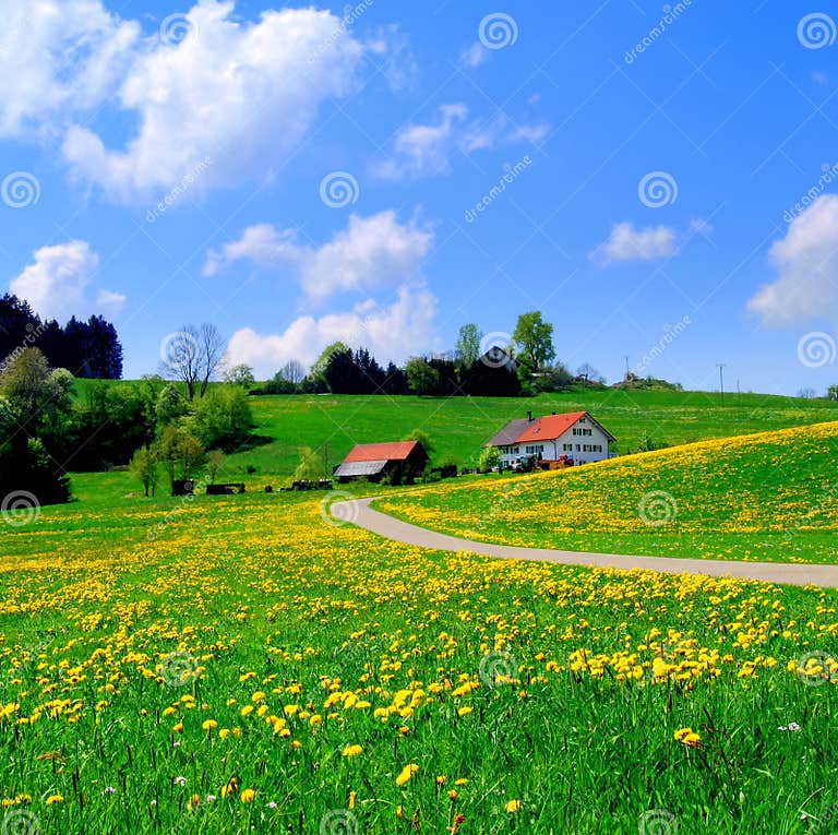 German landscape stock photo. Image of green, landscape - 10059024