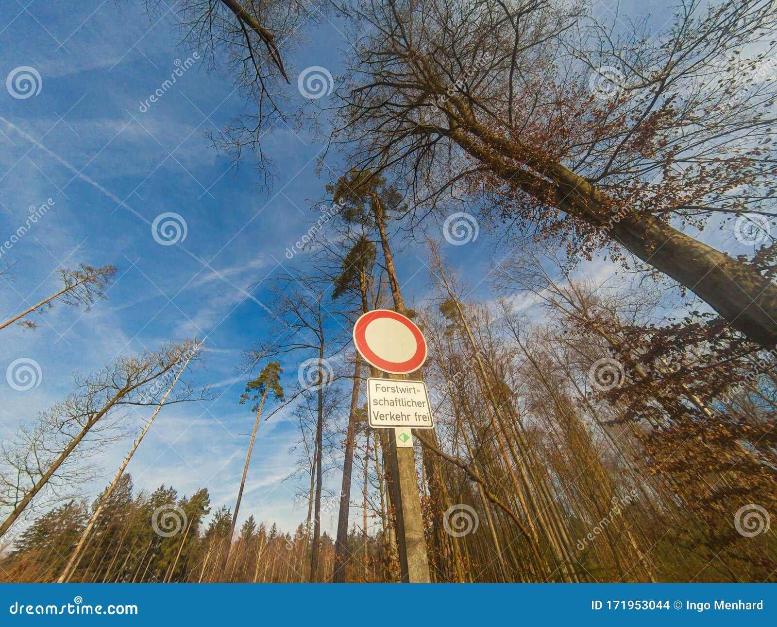 German only FORESTRY TRAFFIC Sign in Front of Trees Stock Photo - Image ...