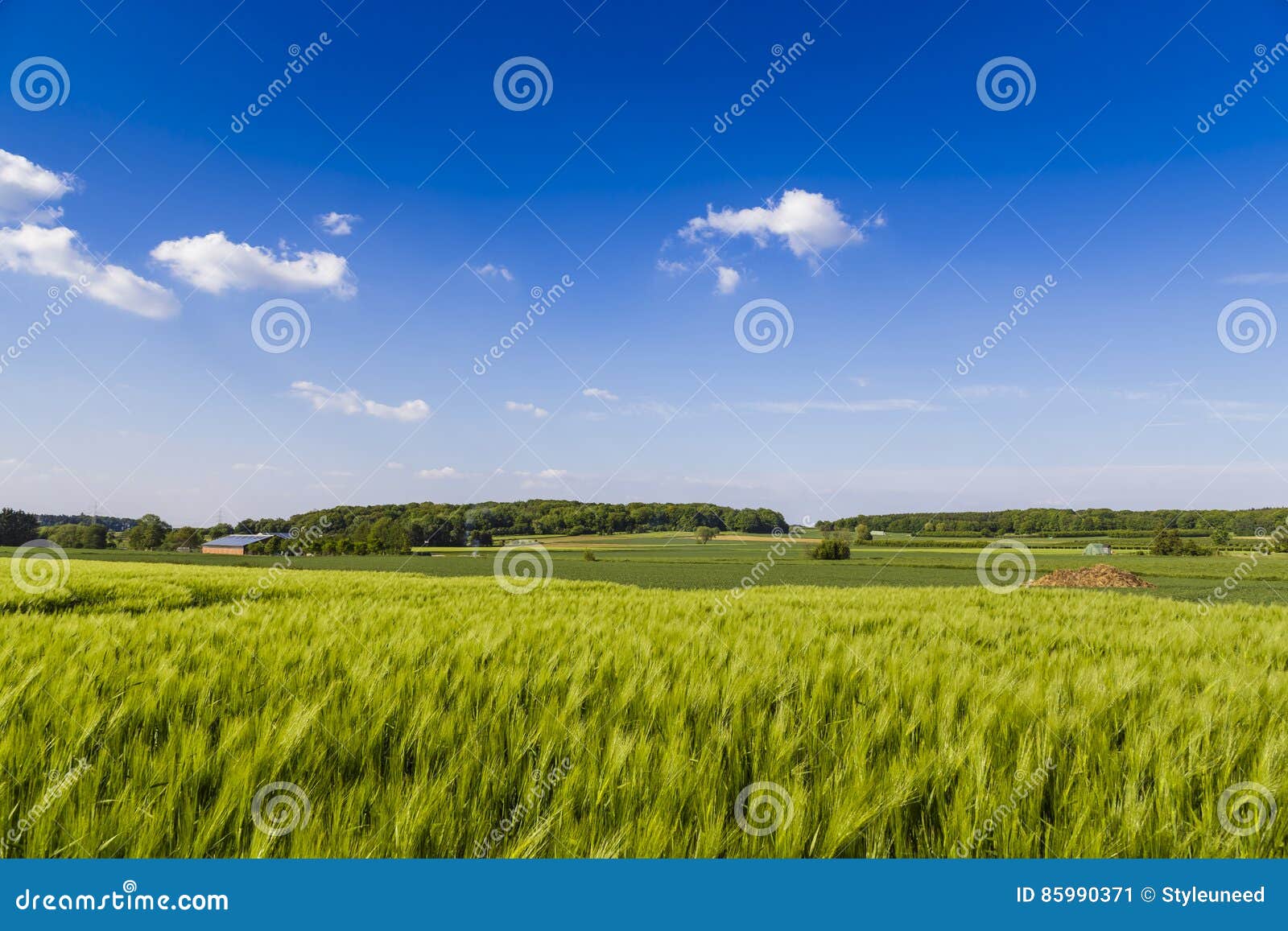 German nature lanscape 2 stock image. Image of freshness - 85990371