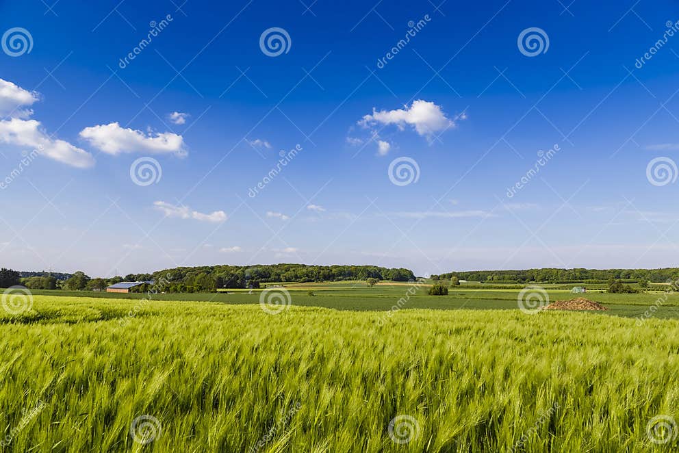 German nature lanscape 2 stock image. Image of freshness - 85990371