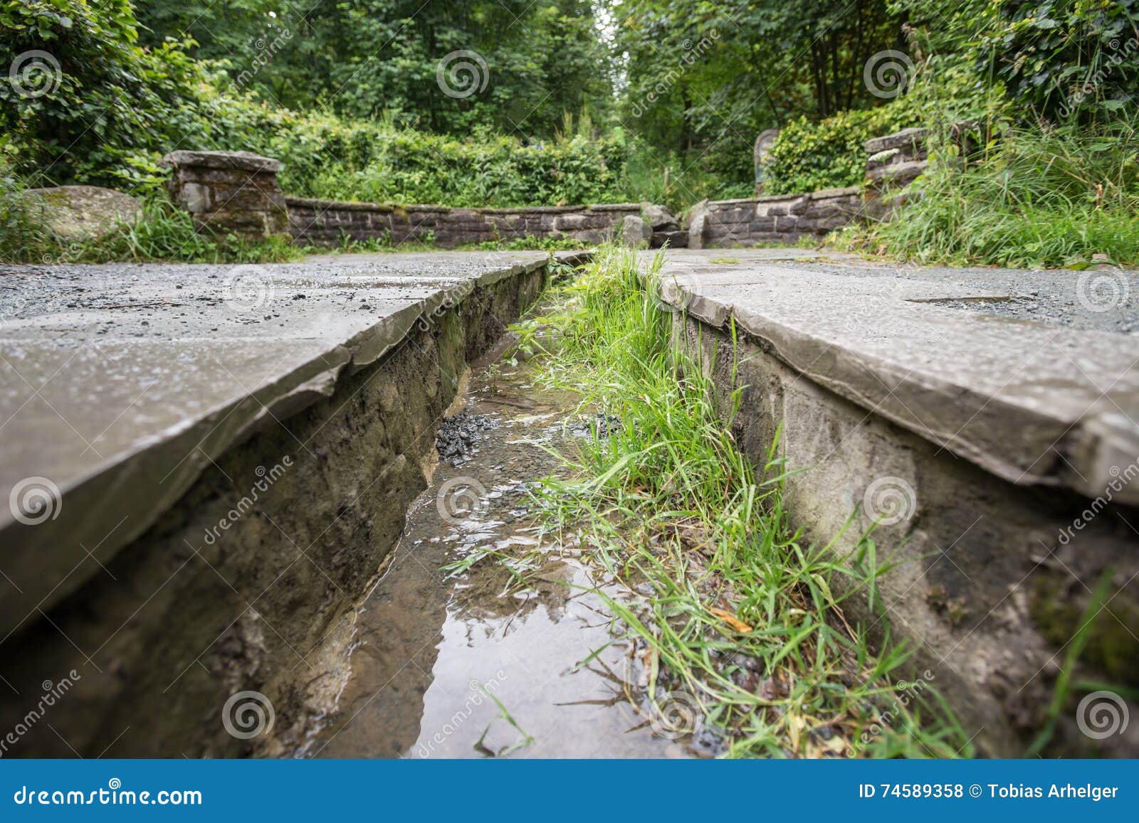 German ruhr river spring stock photo. Image of ruhrgebiet - 74589358