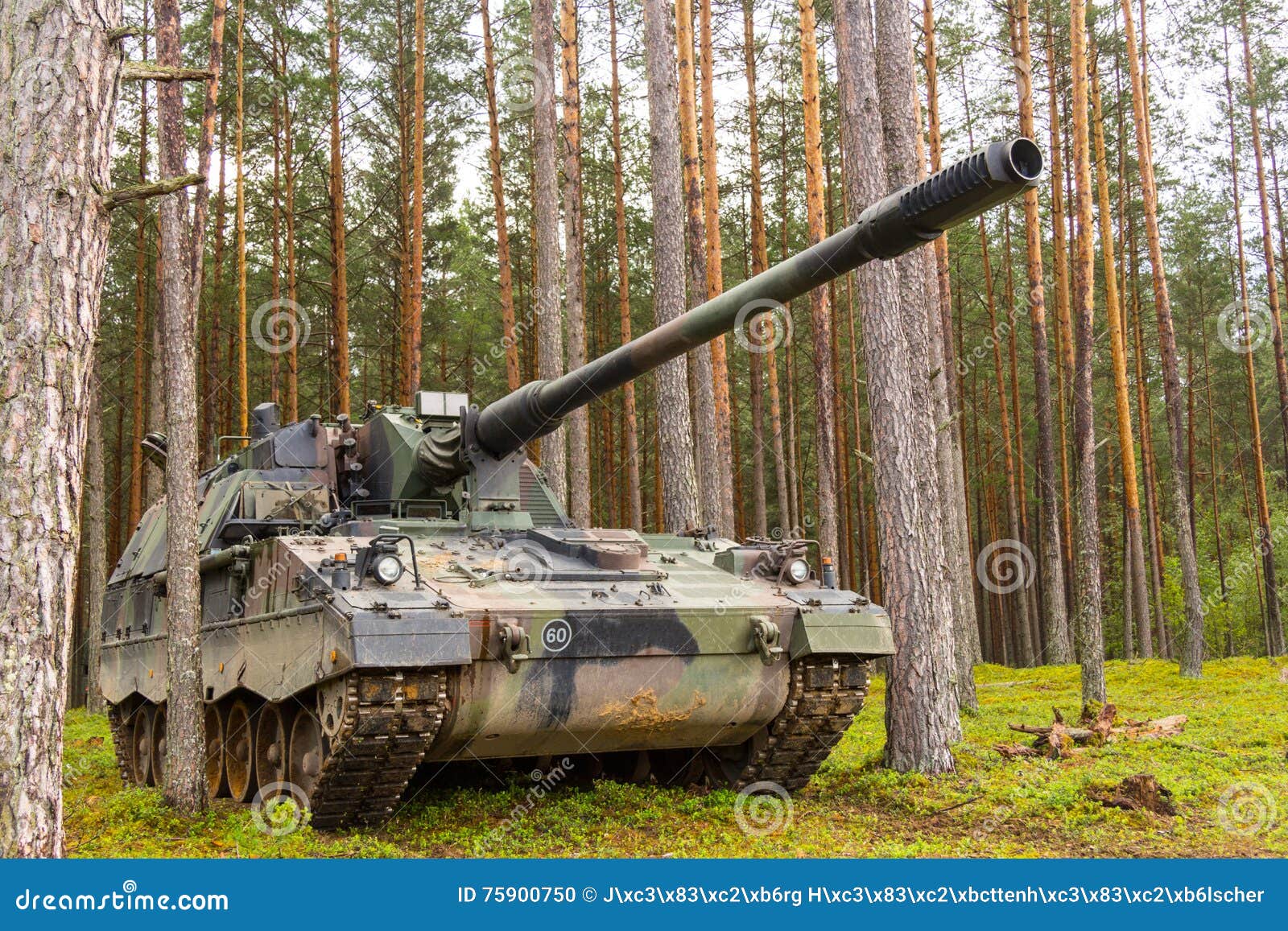 German Self-propelled Howitzer on Battlefield Stock Photo - Image of ...