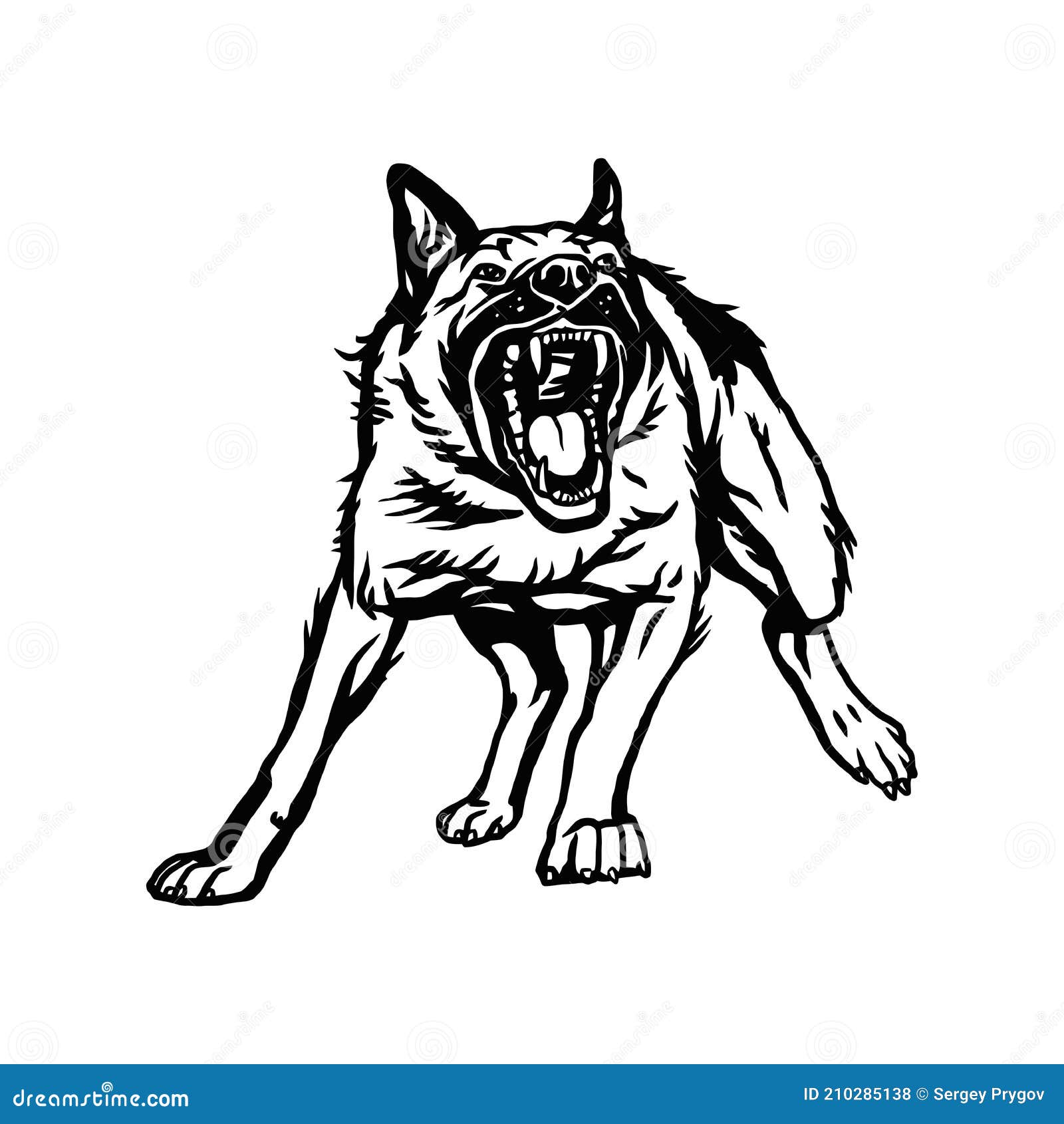 German Shepherd In Attack, Aggressive Shepherd Dog - Vector Isolated ...