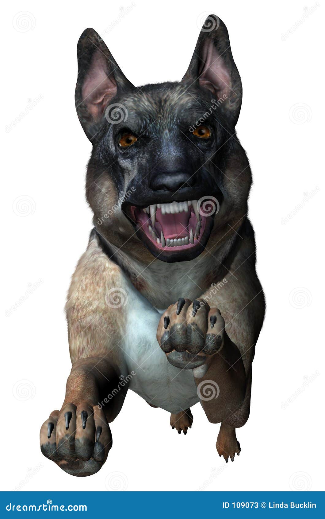 German Shepherd Attacks - Includes Clipping Path Stock Illustration ...
