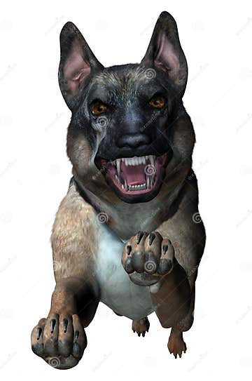 German Shepherd Attacks - Includes Clipping Path Stock Illustration ...