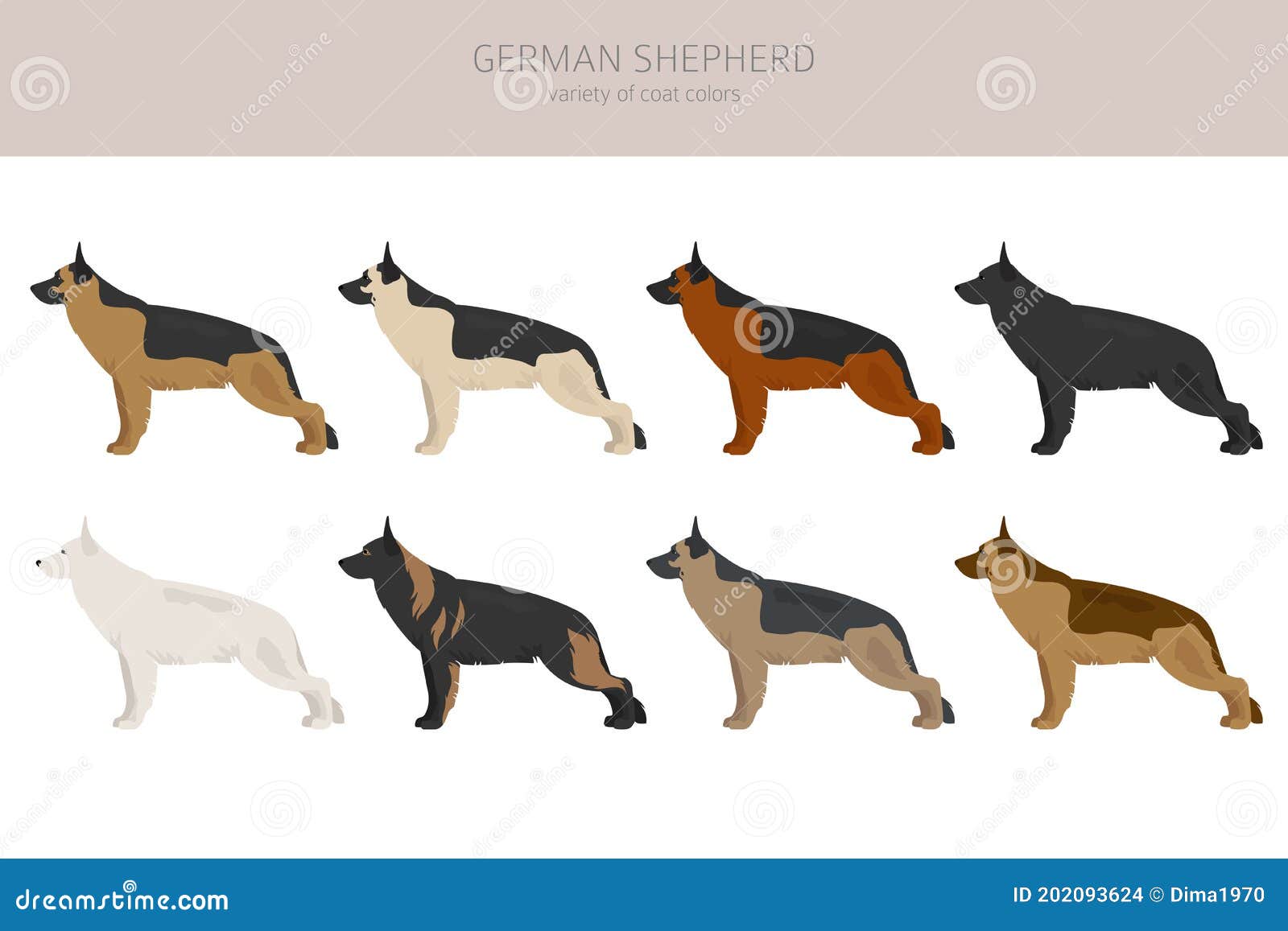 German Shepherd Dogs Different Coat Colors. Shepherd Characters Set ...