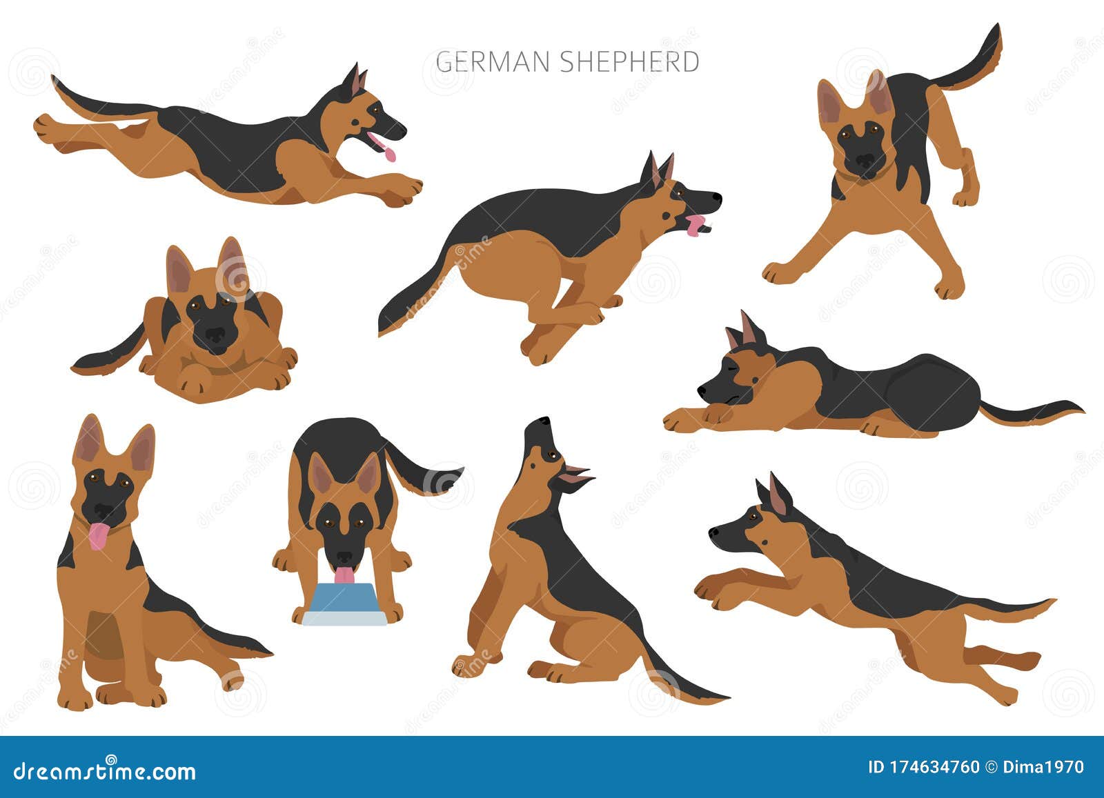 German Shepherd Dogs in Different Poses. Shepherd Characters Set Stock ...