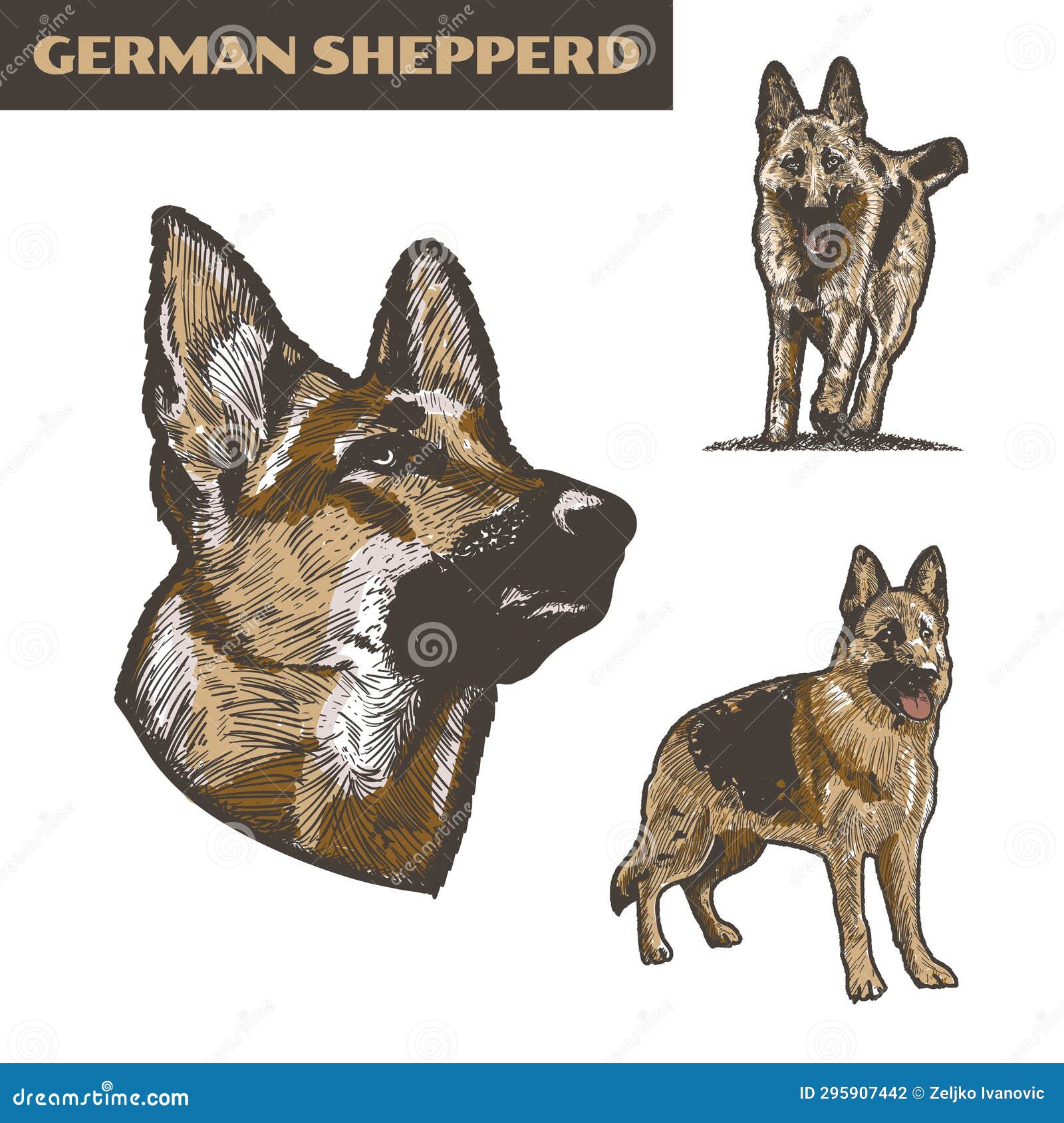 German Shepherd Hand Drawn Vector Illustrations Stock Vector ...