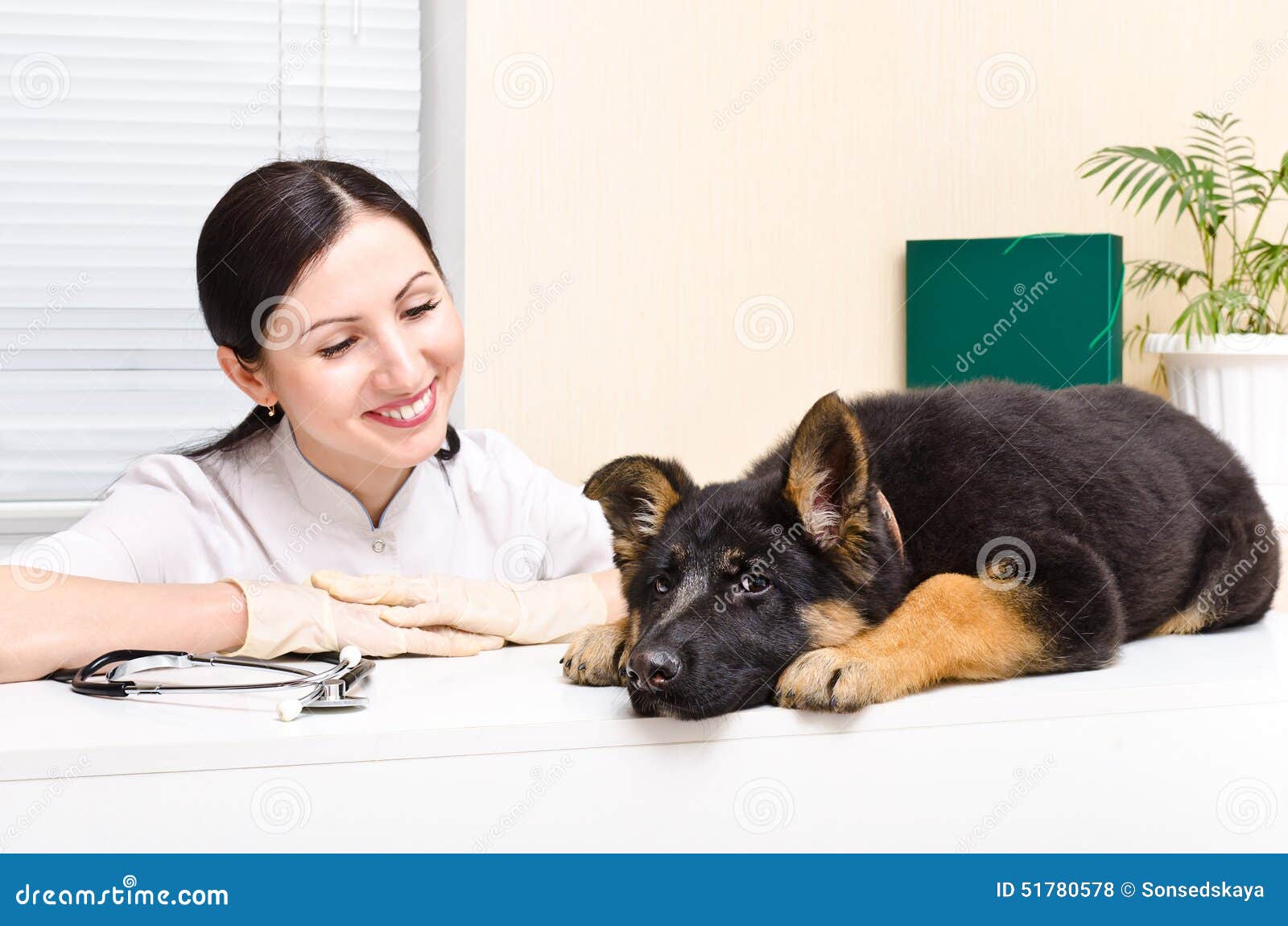 German Shepherd Puppy and Vet Stock Photo - Image of diagnostic ...