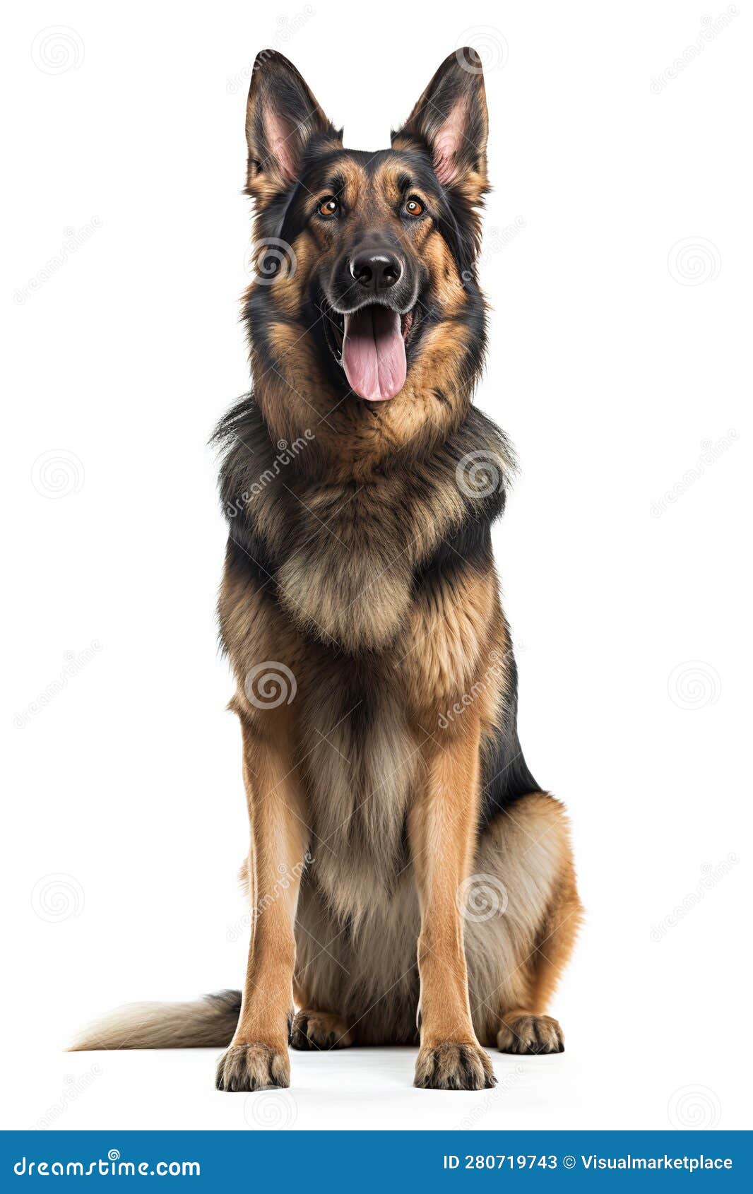 German Shepherd Standing stock illustration. Illustration of ...