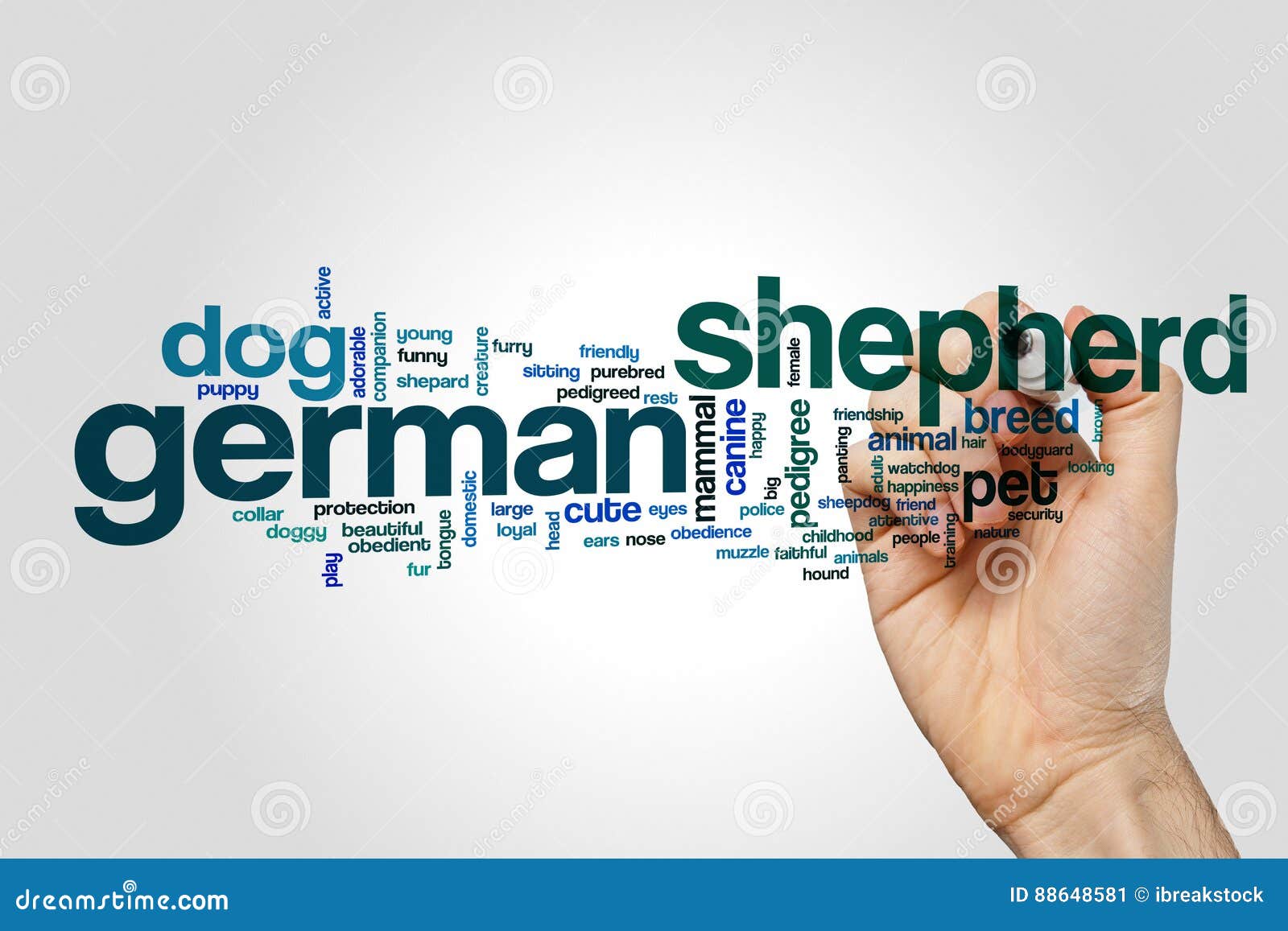 German Shepherd Word Cloud Concept Stock Illustration - Illustration of ...