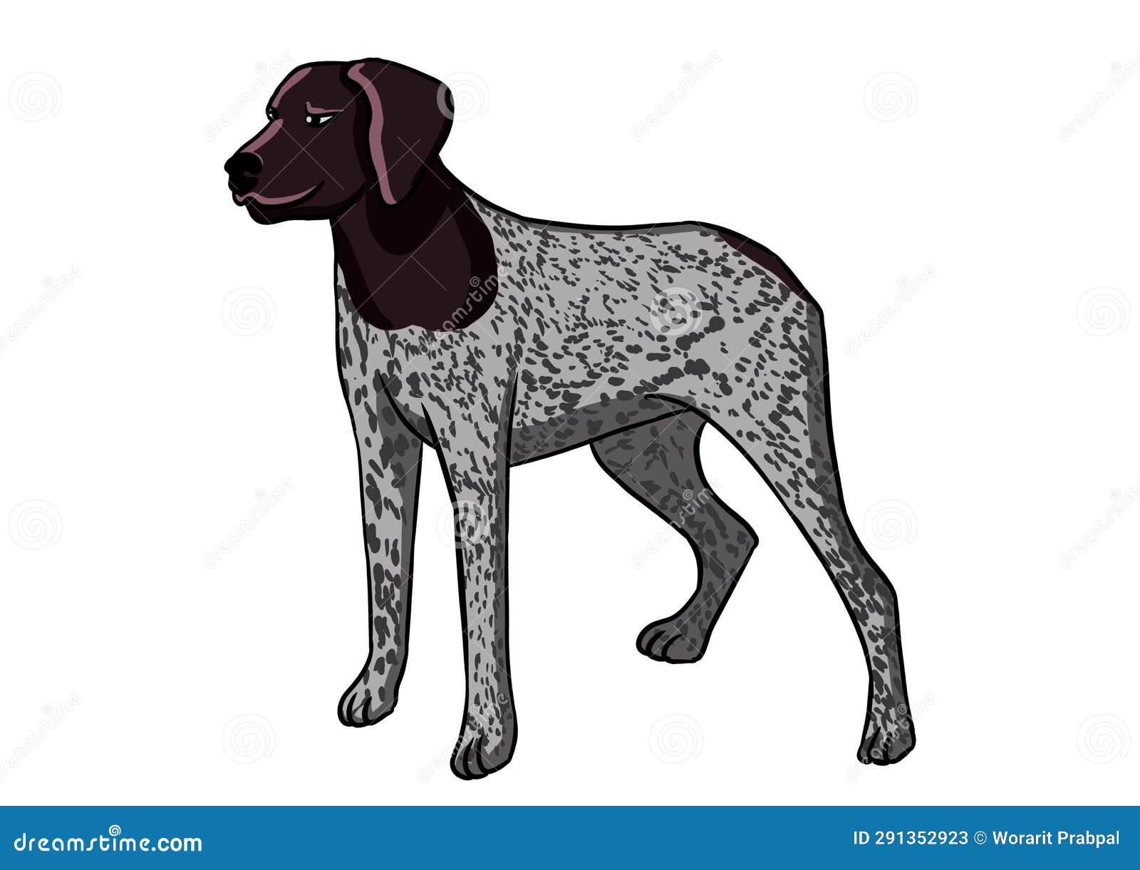 German Shorthaired Pointer Dogs Stock Illustration - Illustration of ...
