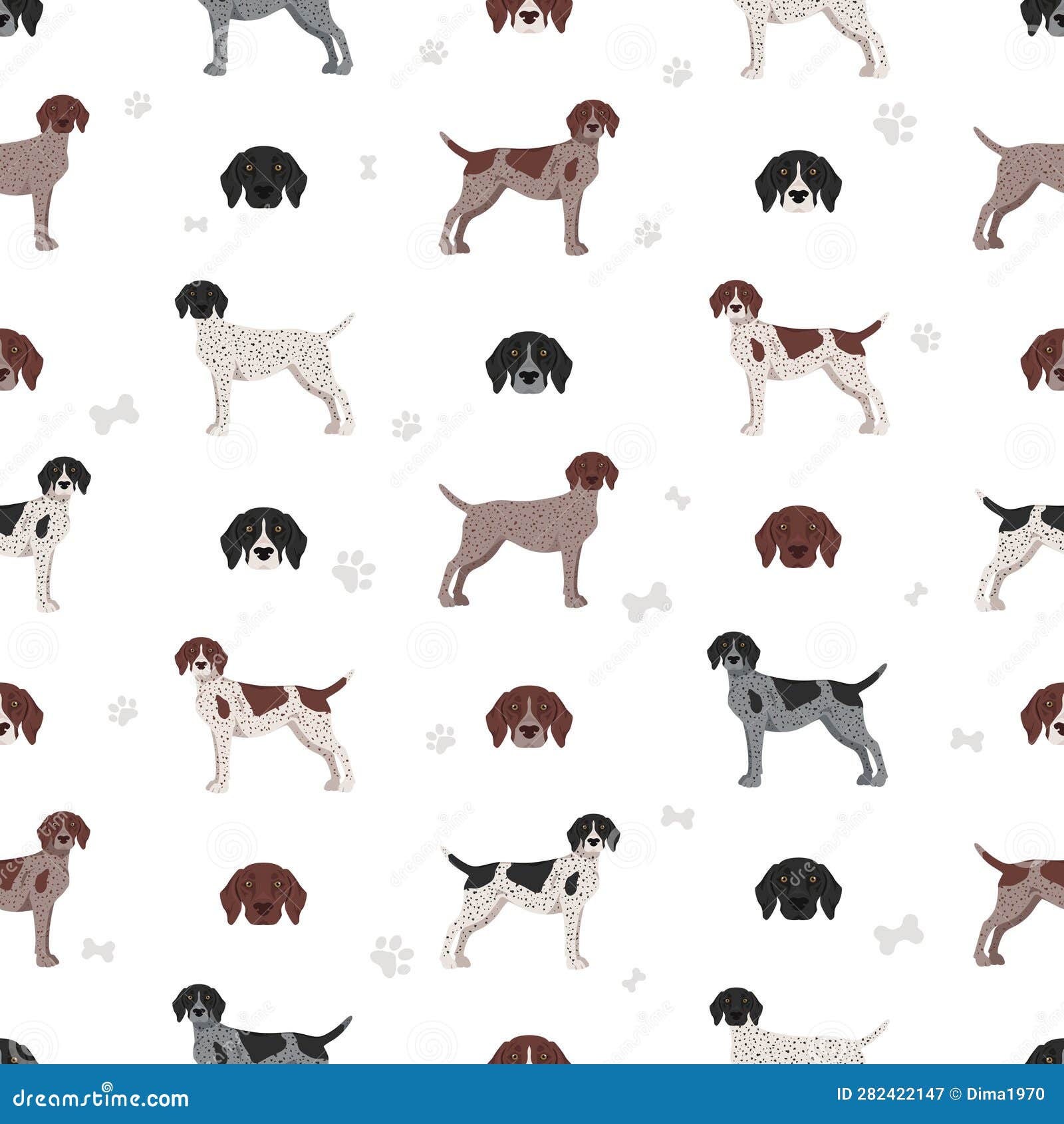 German Shorthaired Pointer Seamless Pattern. Different Poses, Coat ...