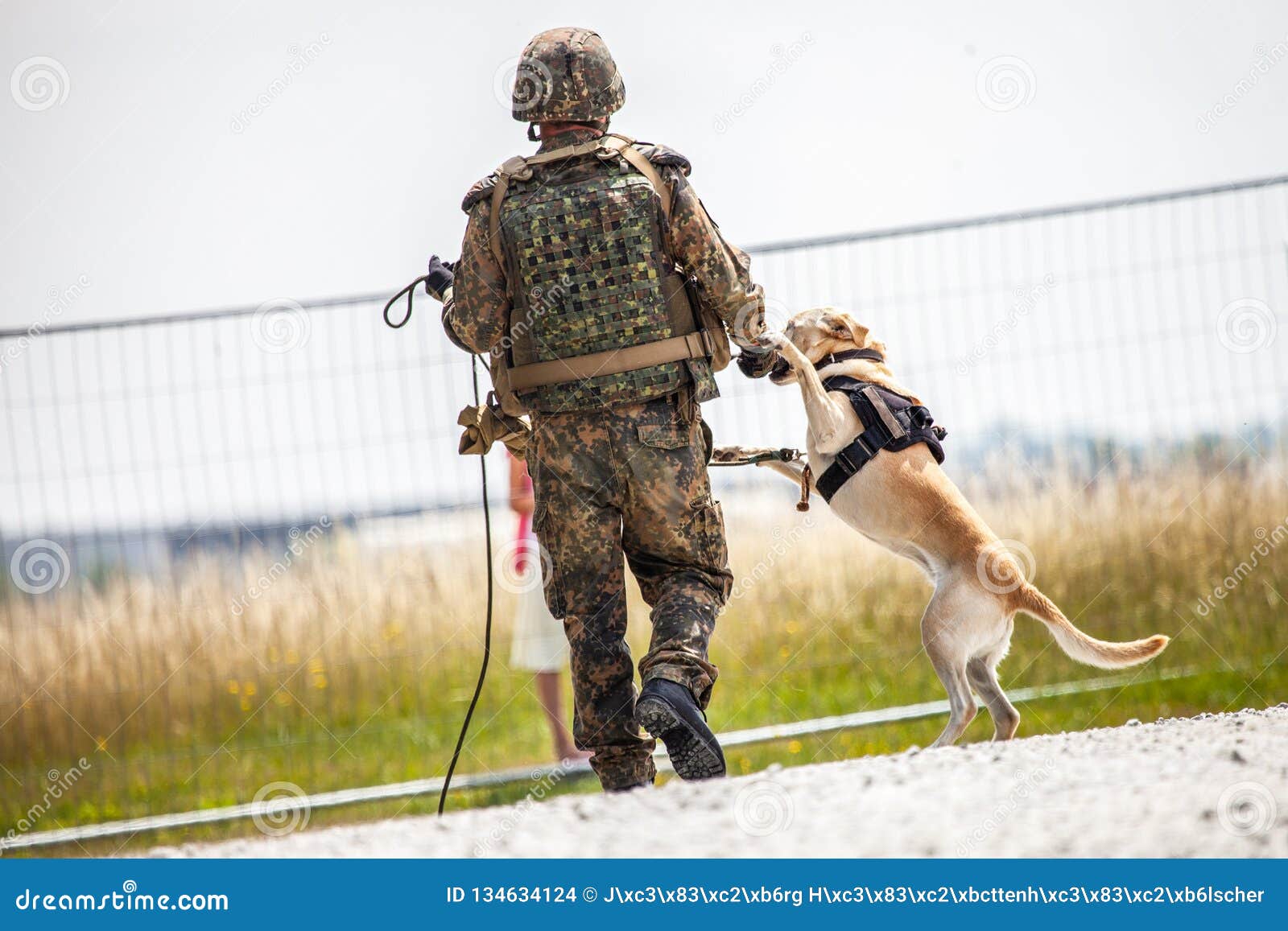 German Soldier with a Dog on a Fence Stock Photo - Image of nato, group ...