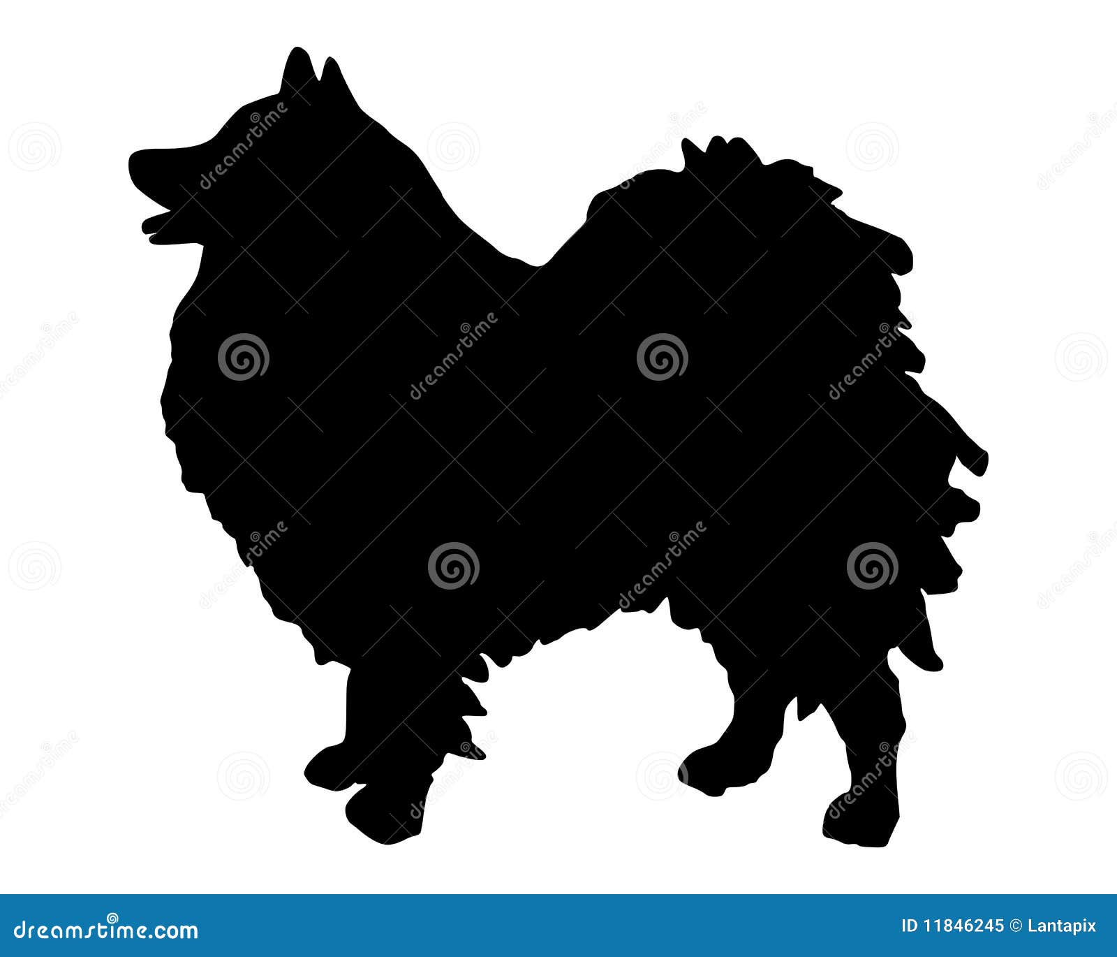 German Spitz Animal Vector Illustration Hand Drawn Cartoon Art ...