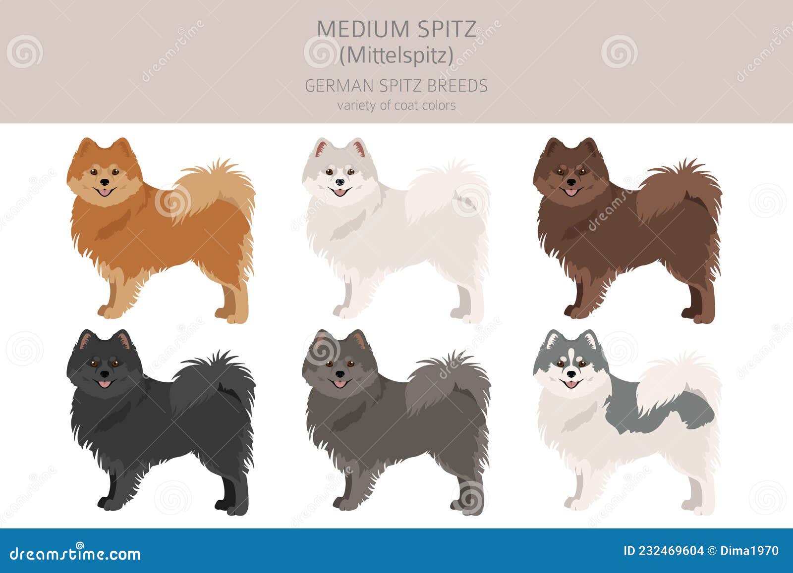 German Spitz, Medium Spitz Clipart. Different Poses, Coat Colors Set ...