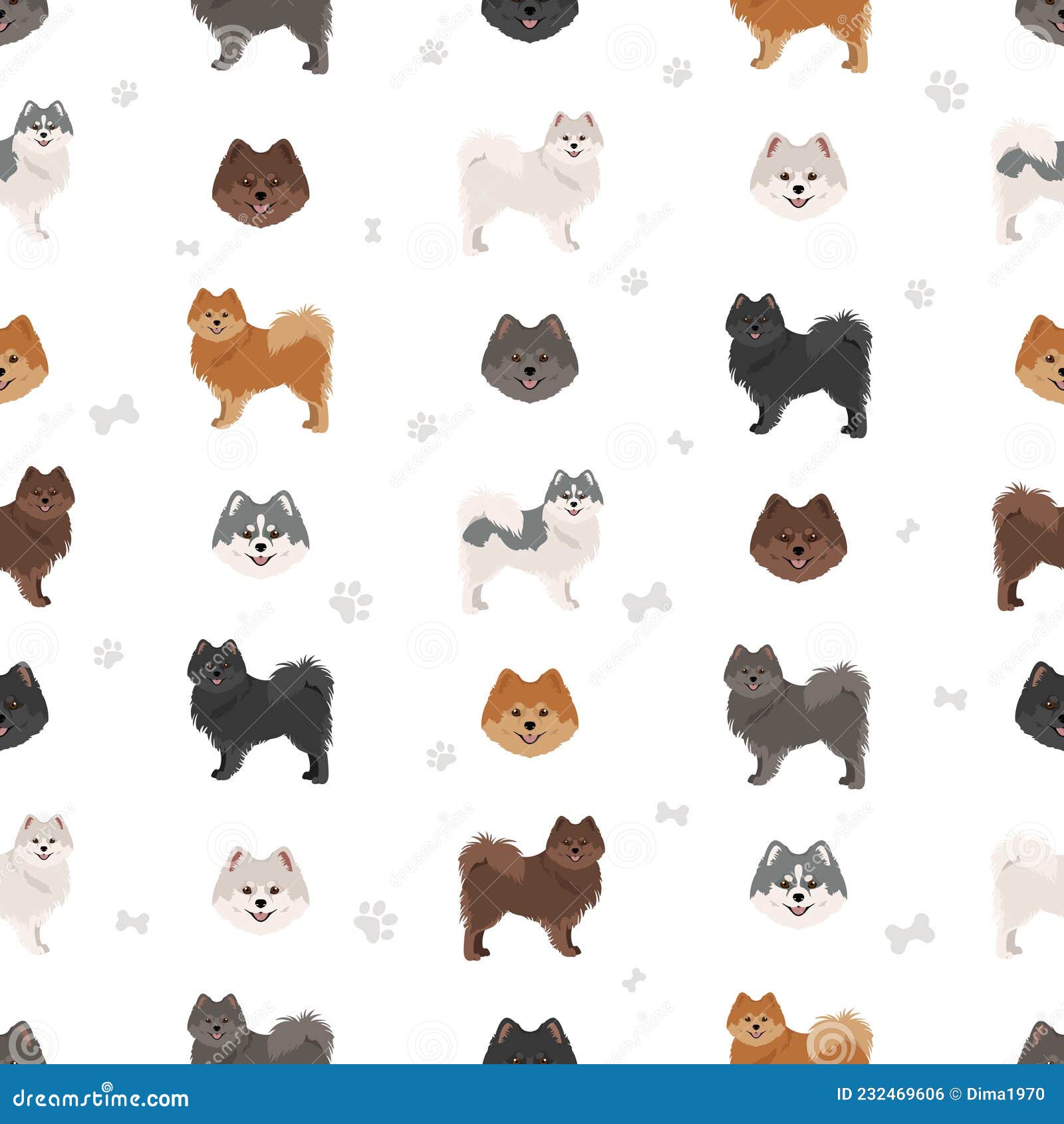 German Spitz, Medium Spitz Seamless Pattern. Different Poses, Coat ...