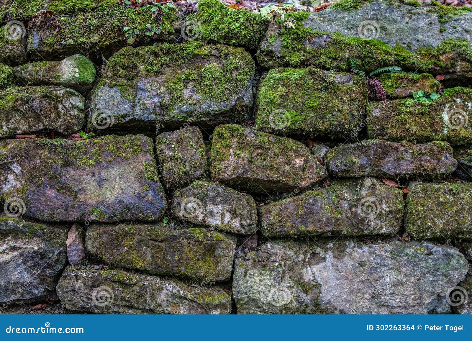 German Stone Wall: Historic Nature Background Stock Photo - Image of ...
