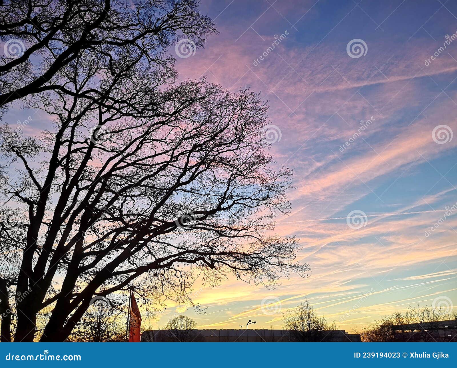 A German sunset ðŸŒ‡ stock image. Image of dawn, savanna - 239194023