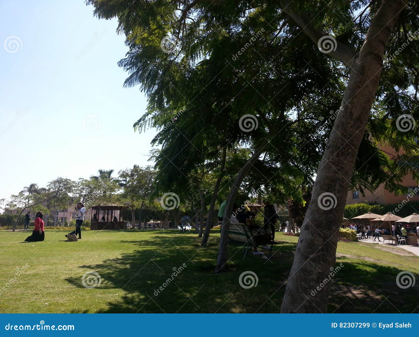 German University in cairo editorial stock image. Image of university ...
