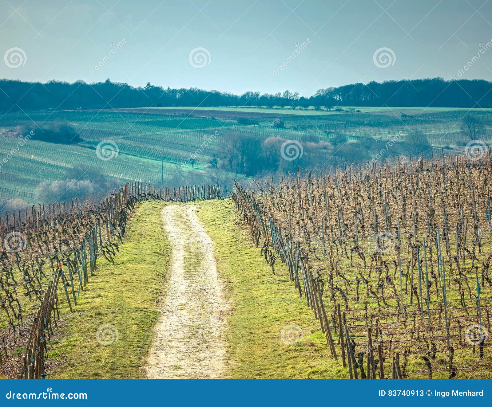 German vineyard view stock image. Image of landscape - 83740913