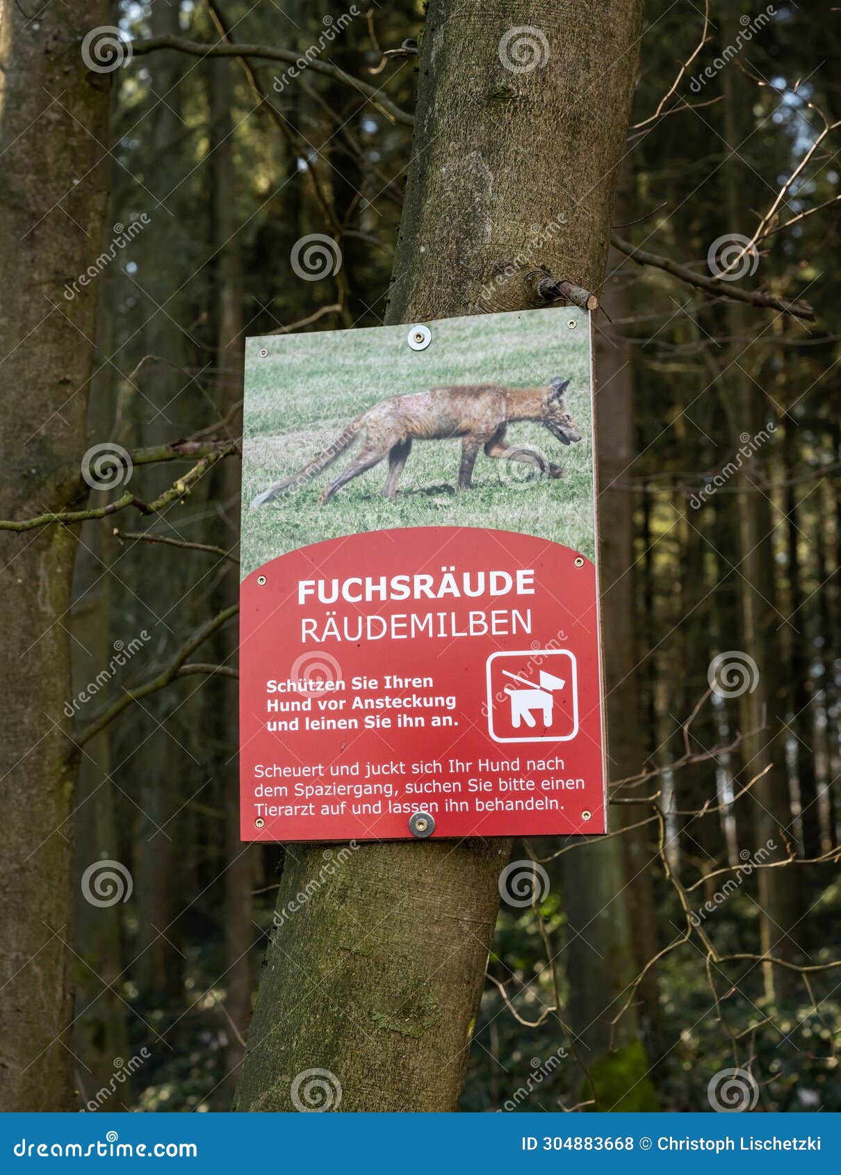 German Warning Sign for Dog with Generalized Demodectic Mange ...