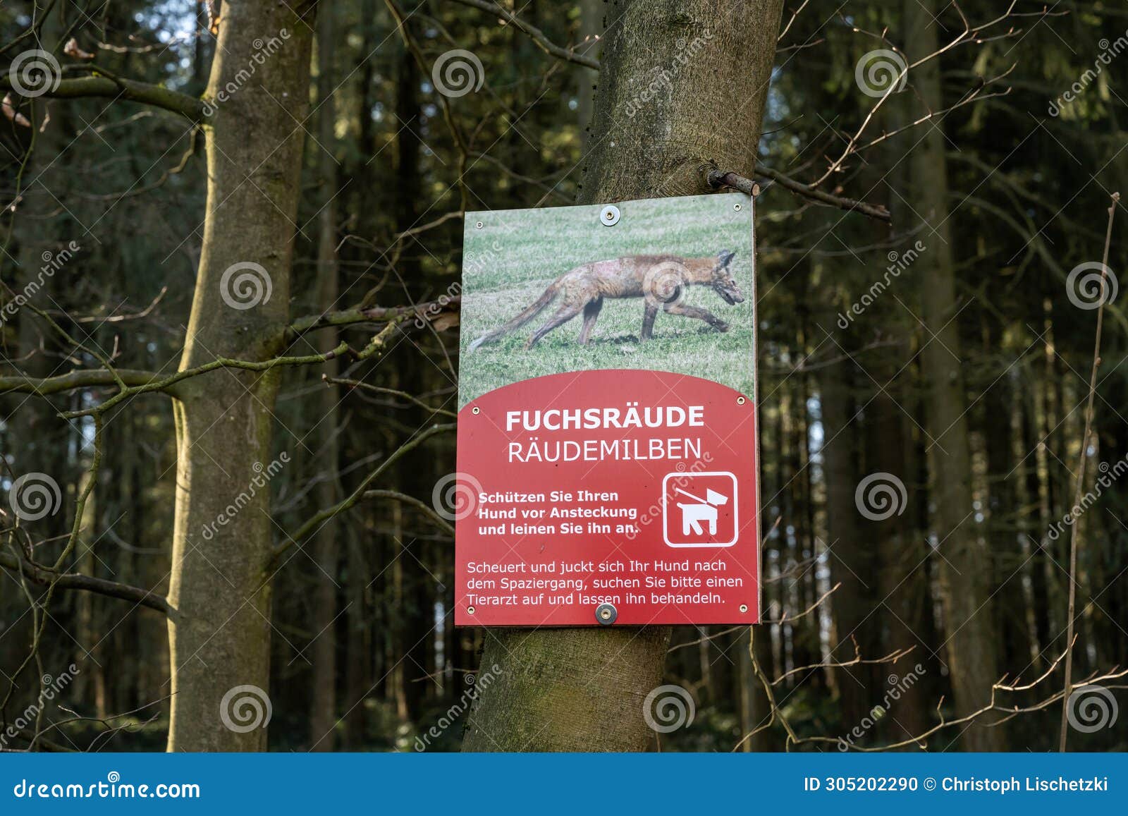 German Warning Sign for Dog with Generalized Demodectic Mange ...