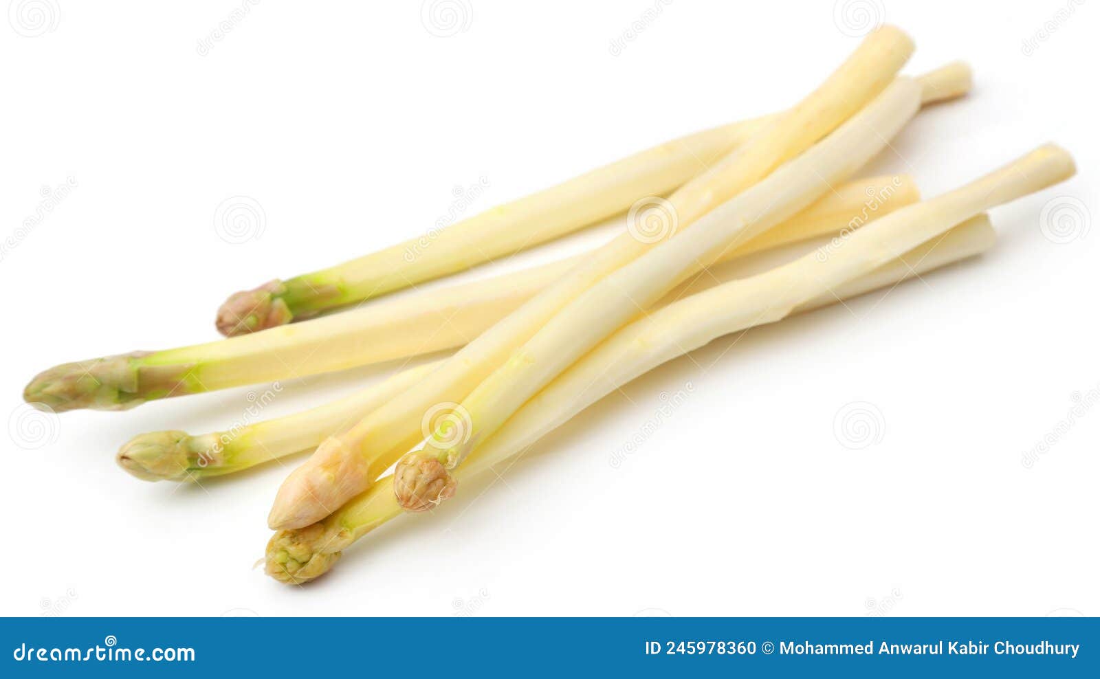 German White Asparagus stock photo. Image of organic - 245978360