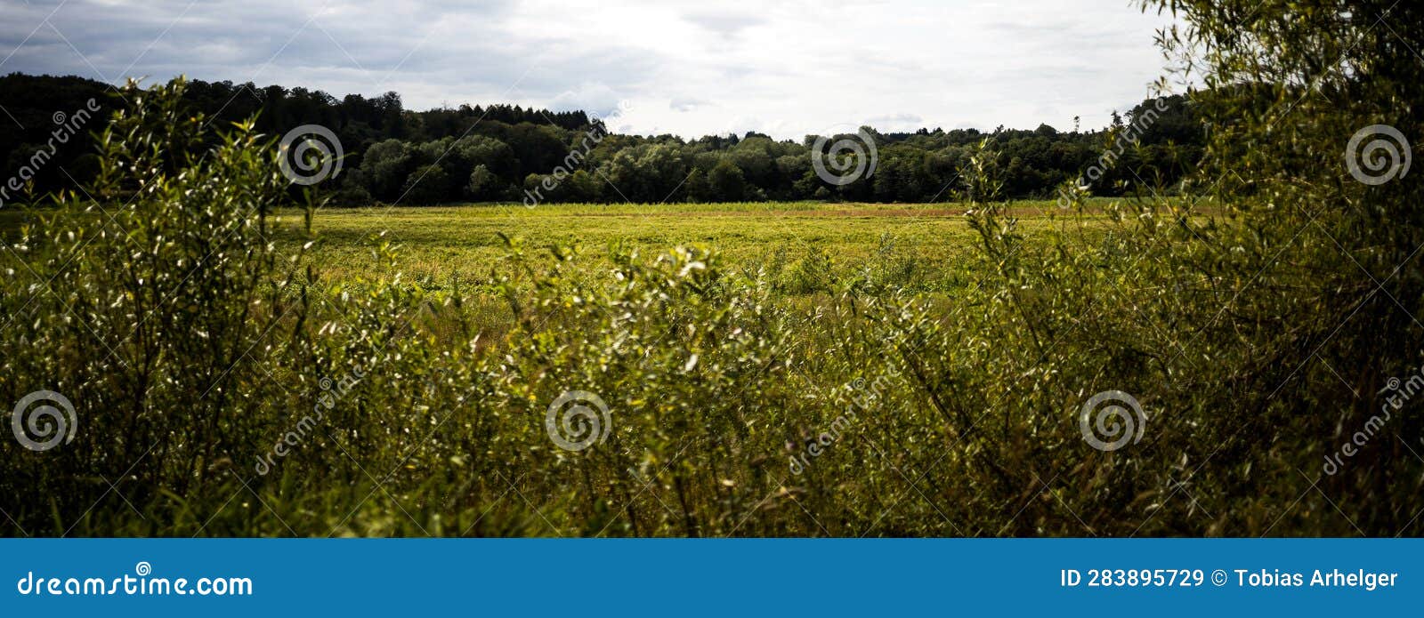 German Wiesensee Lake without Water Panorama Stock Image - Image of ...