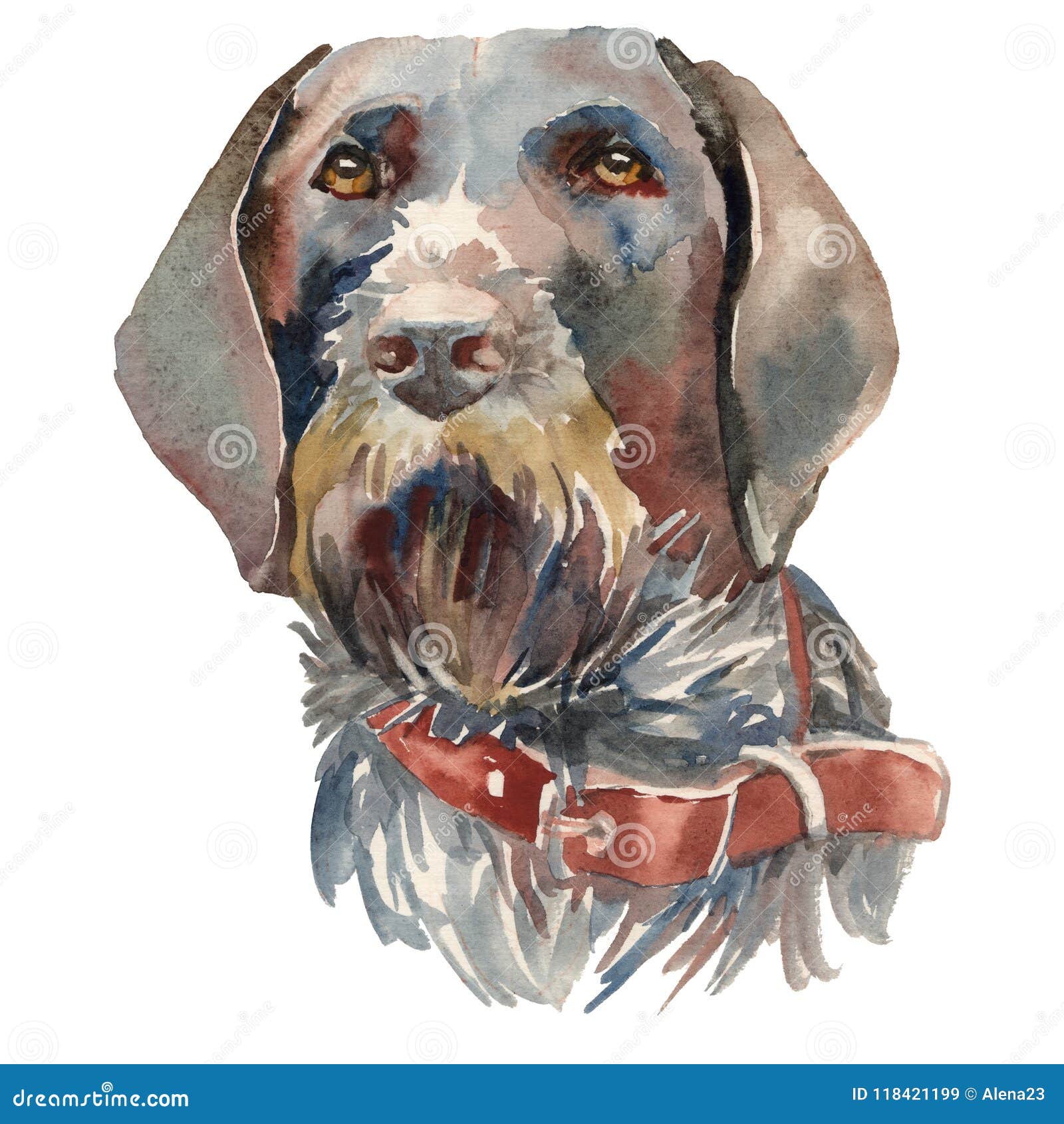 Wirehaired Cartoons, Illustrations & Vector Stock Images - 945 Pictures ...