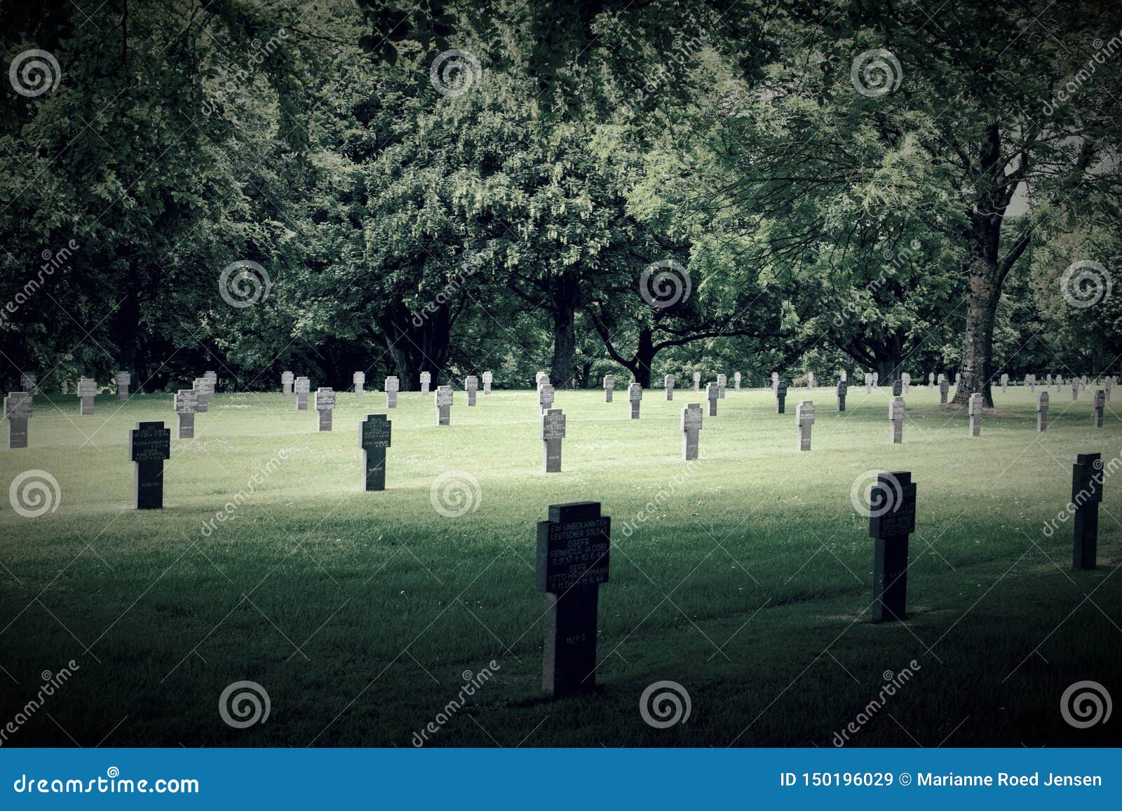 The German WW2 Cemetery in Normandy Editorial Stock Image - Image of ...