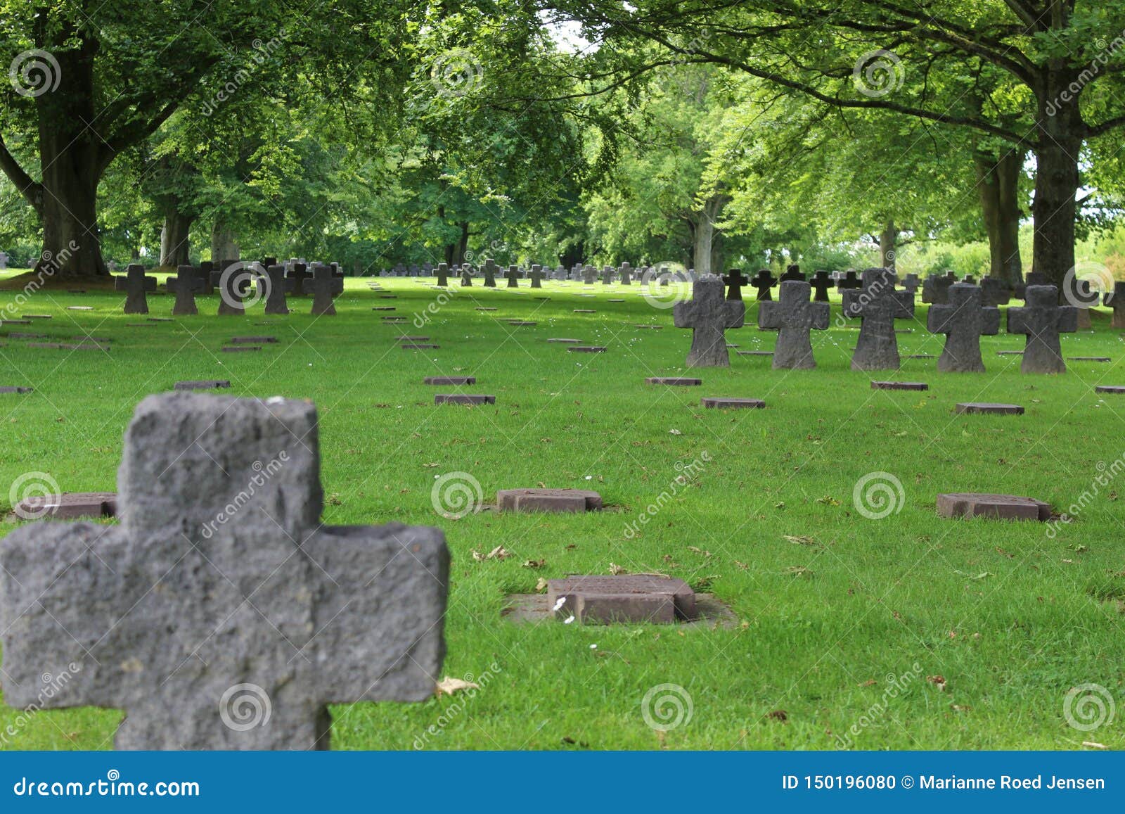 The German WW2 Cemetery in Normandy Editorial Image - Image of field ...