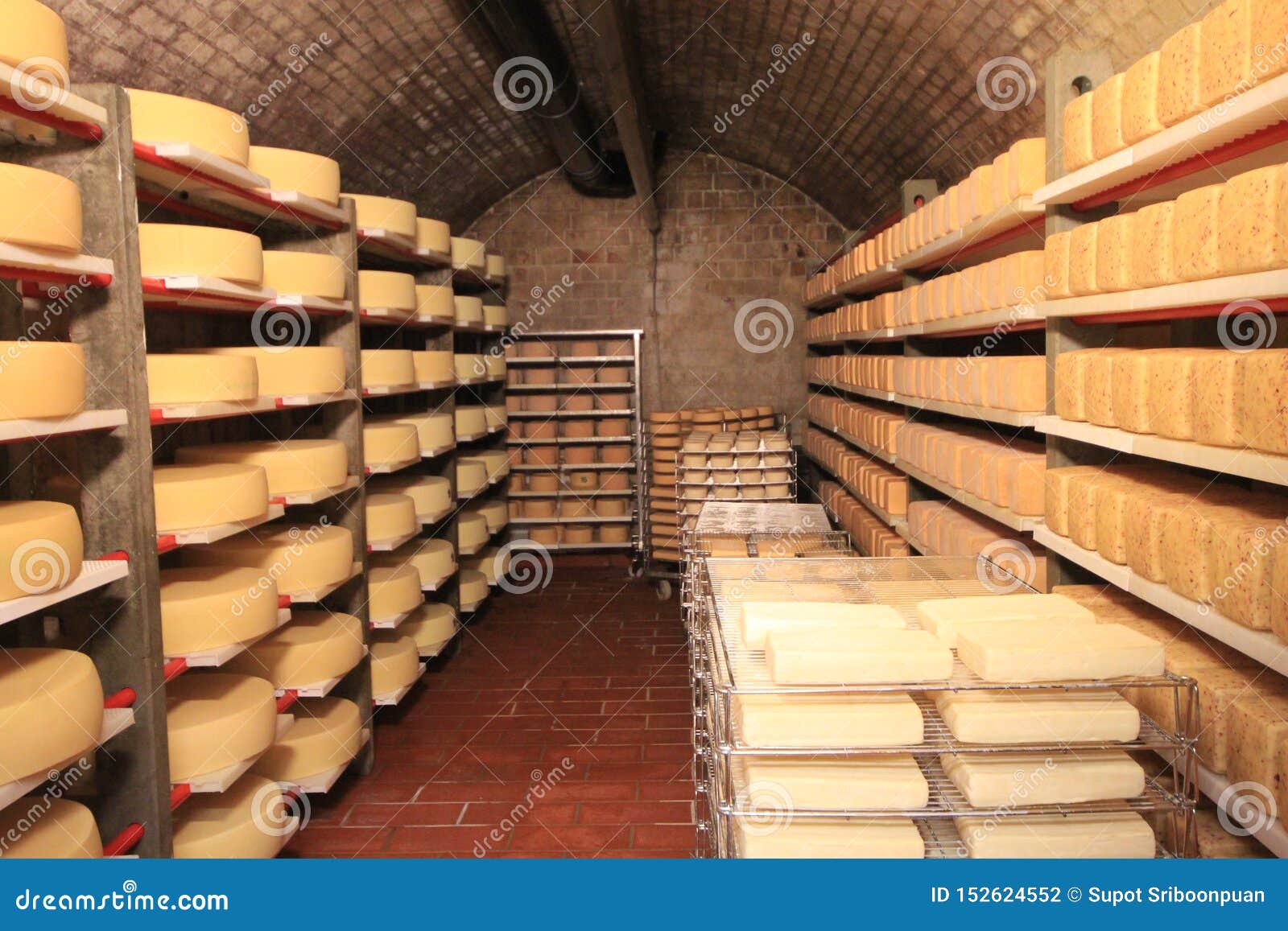Germany Cheese in the Chill Room Stock Photo - Image of round, making ...