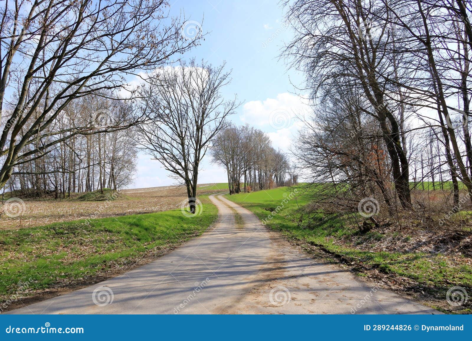 Germany, Curved Way through Nature Landscape Stock Photo - Image of ...