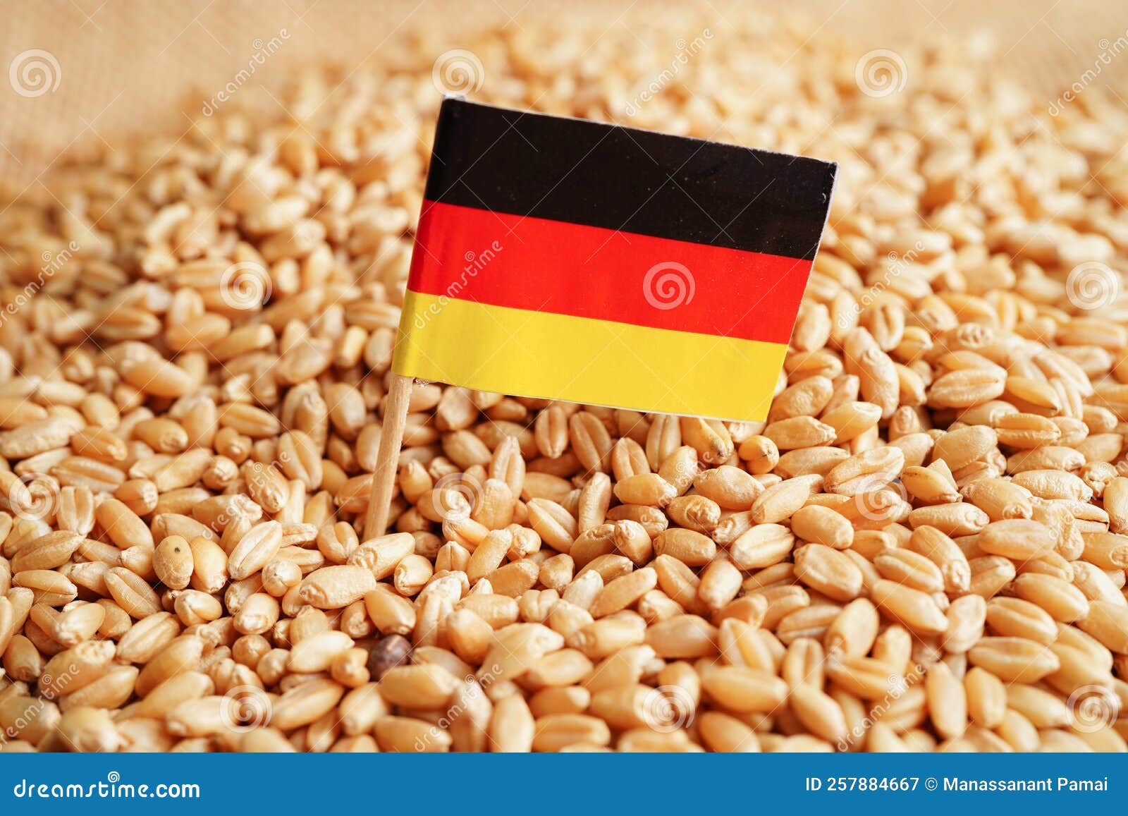 Germany on Grain Wheat, Trade Export and Economy Concept Stock Image ...