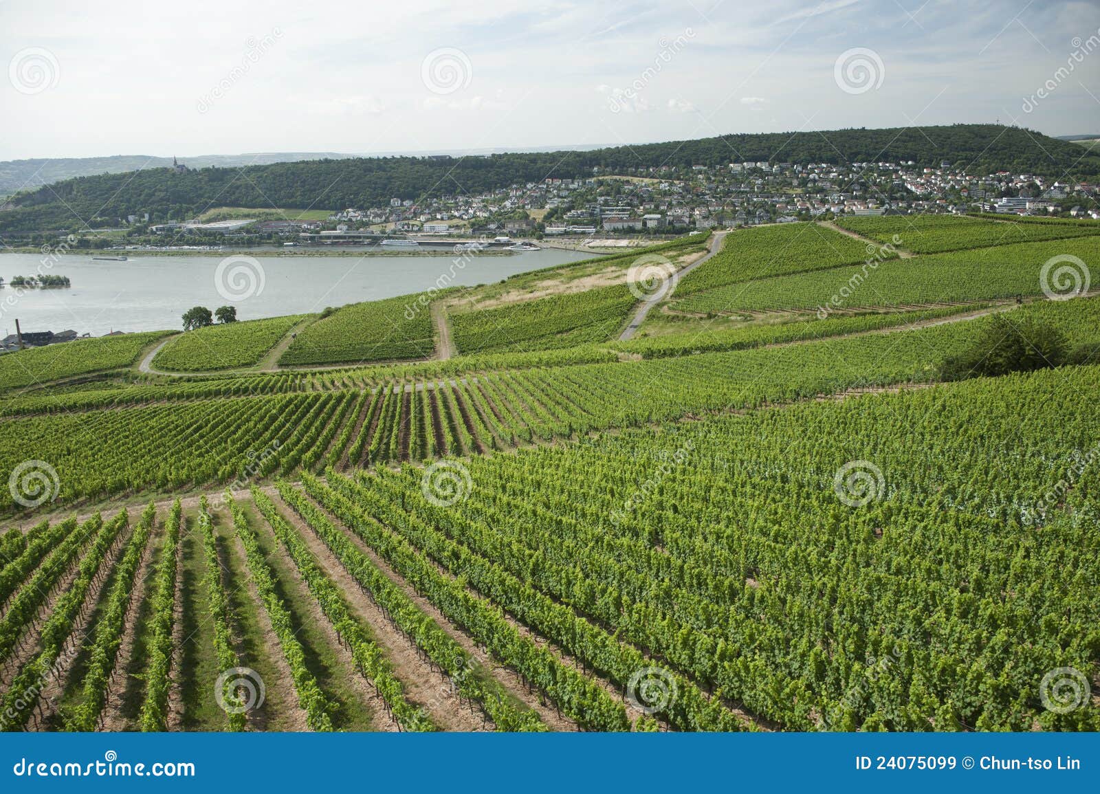 Germany,Unesco World Heritage,(Rhine Valley) Stock Image - Image of ...