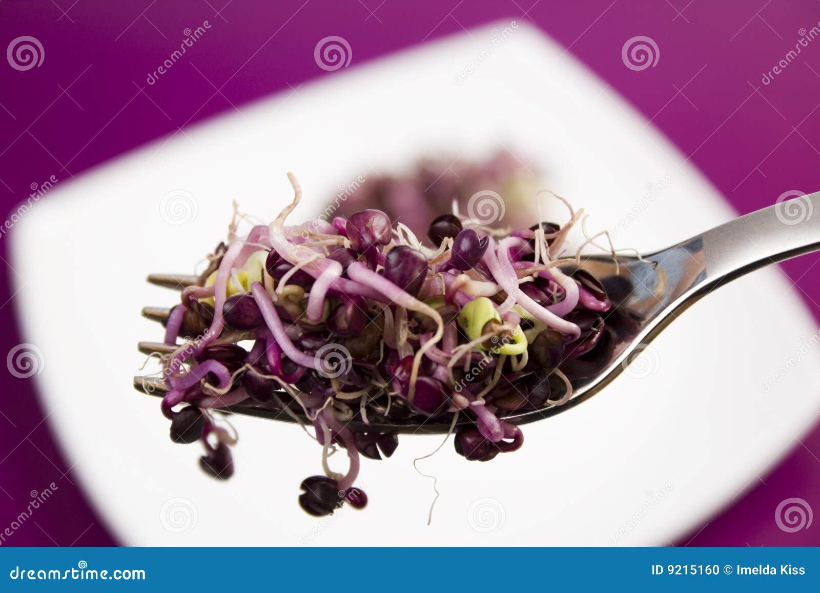 Germe Fresco Della Forcella Fotografia Stock - Immagine di squisito ...