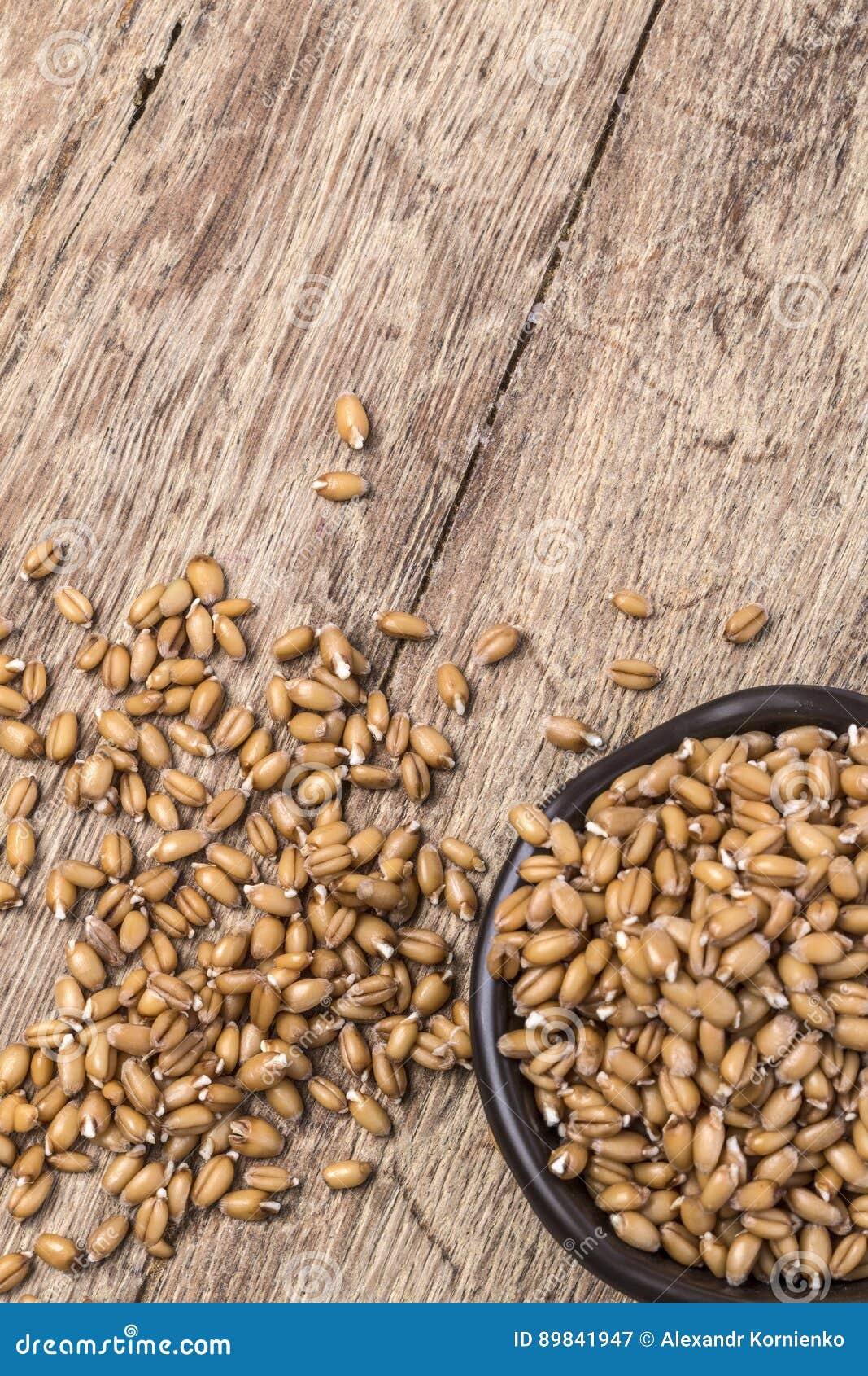 Germen de trigo brotado imagen de archivo. Imagen de germinado - 89841947