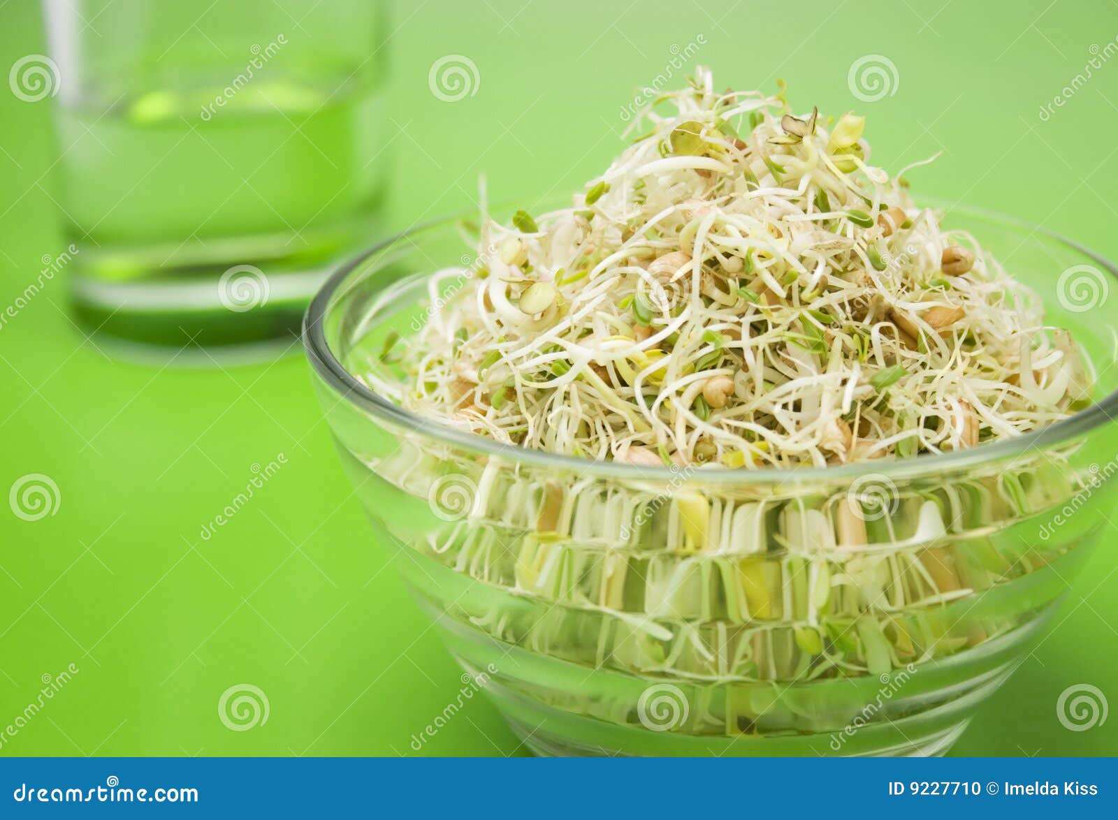 Germen Fresco En El Vector Verde Foto de archivo - Imagen: 9227710