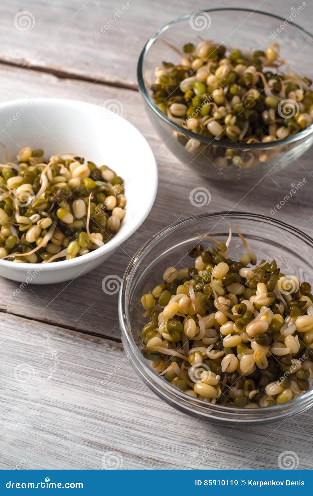 Germinated Beans in Glass and Ceramic Bowls Diagonal Stock Image ...