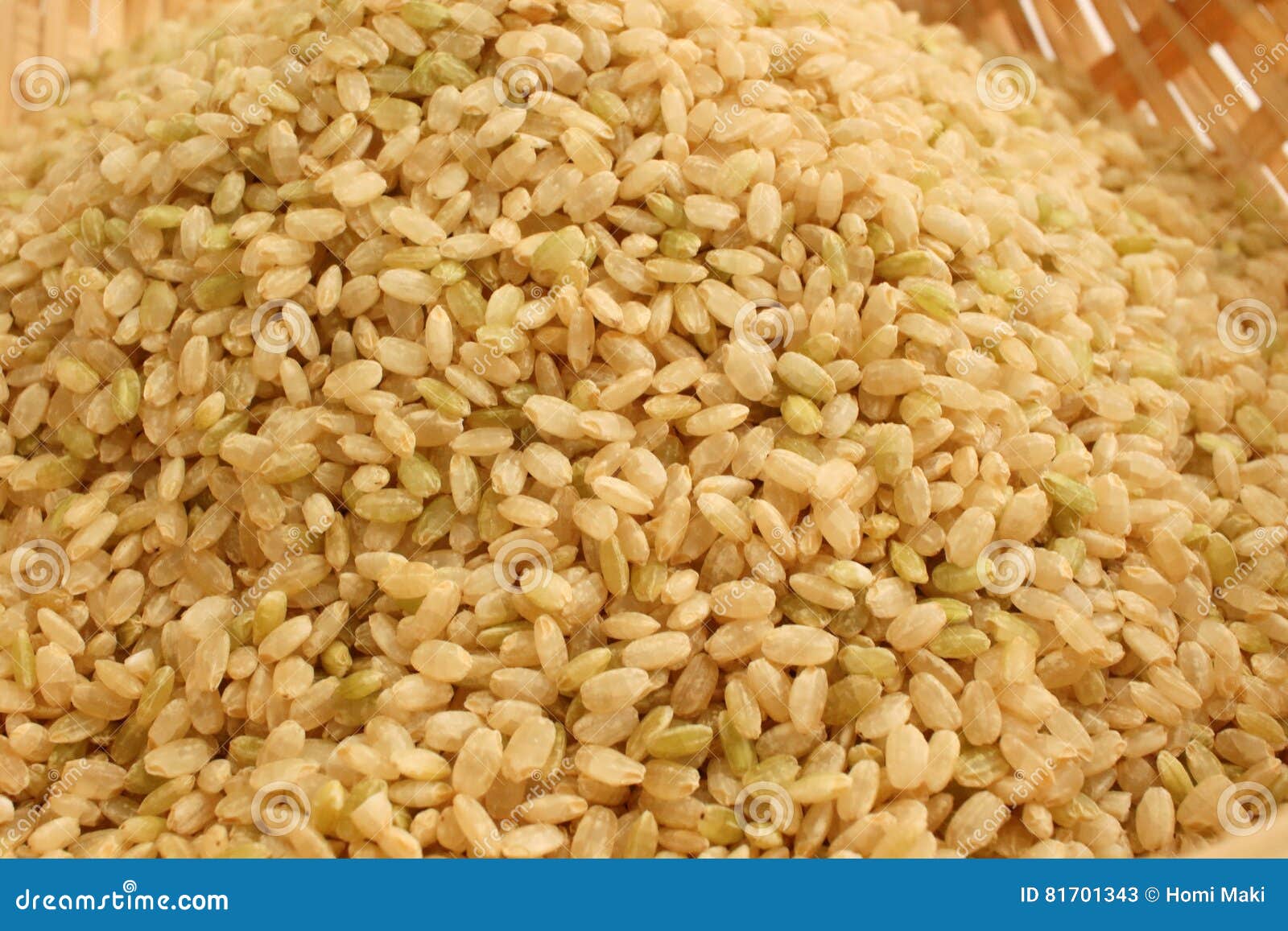 Germinated brown rice stock image. Image of sprouted - 81701343