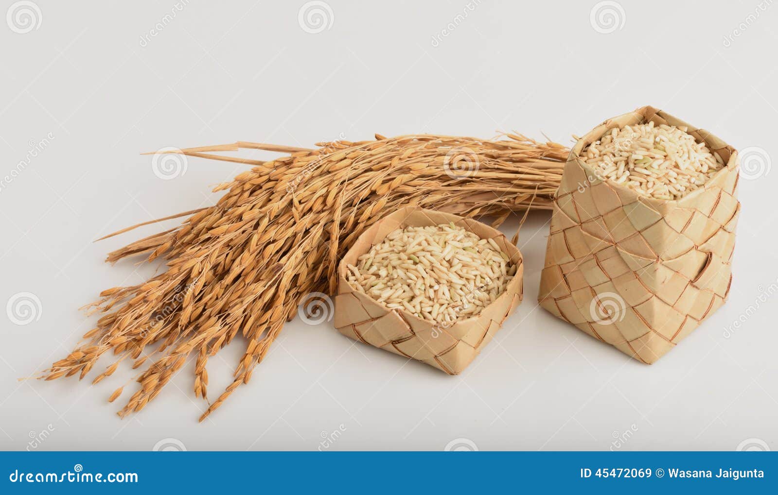 Germinated Brown Rice or GABA-rice. Stock Image - Image of grain ...