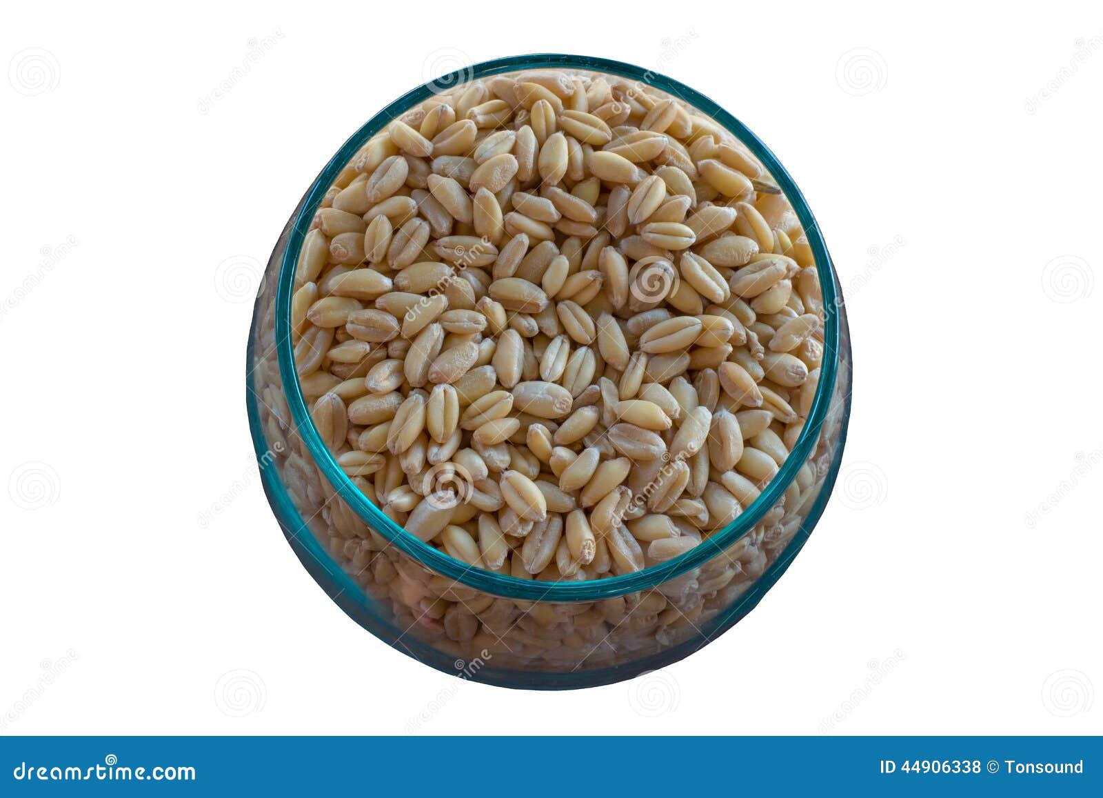 Germinated Brown Rice or GABA-rice, Medicinal Properties. Stock Photo ...