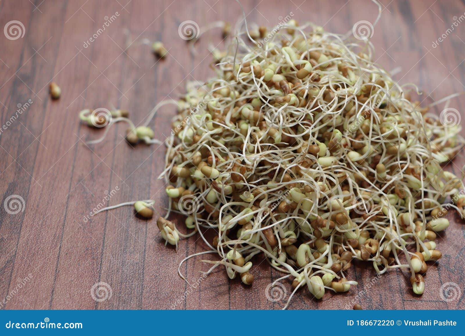 Germinated Moth Beans, Healthy Diet Stock Photo - Image of lentil ...