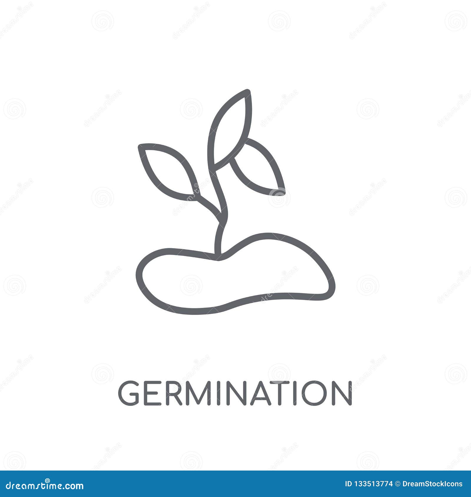 Germination Linear Icon. Modern Outline Germination Logo Concept Stock ... Germination Linear Icon. Modern Outline Germination Logo Concept Stock ...